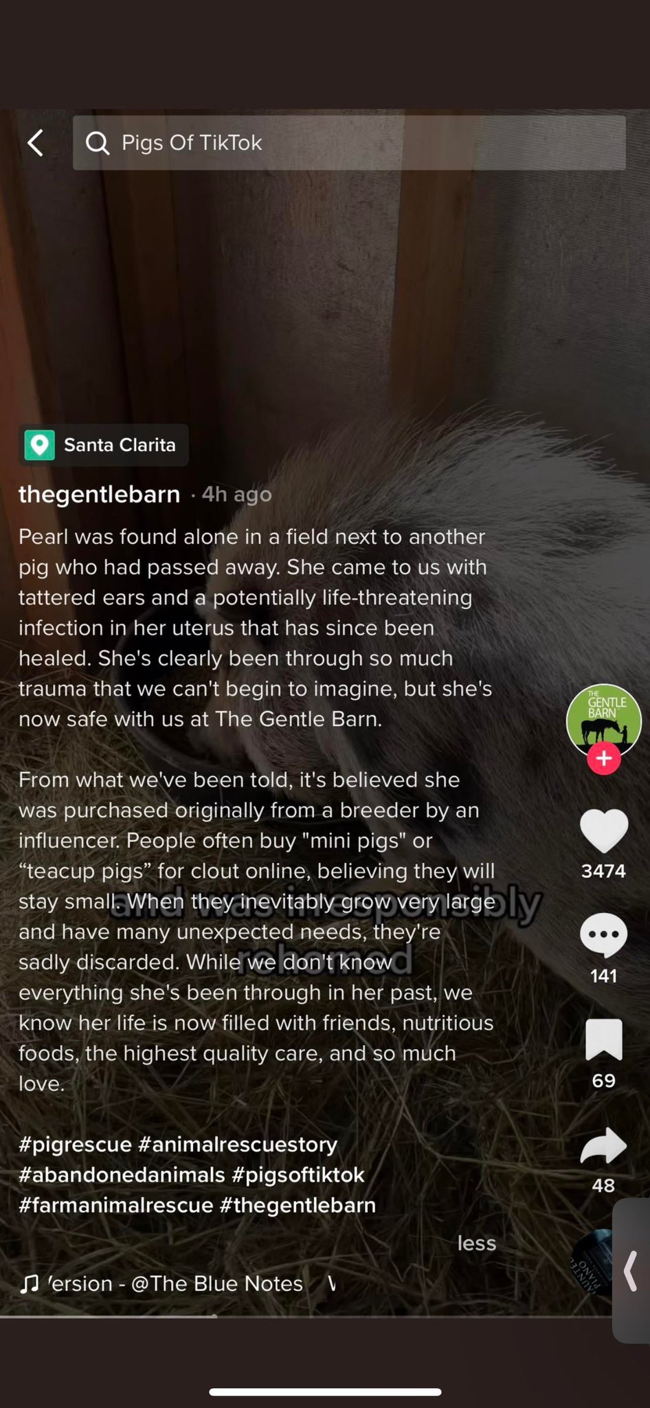 Logan Paul is cruel to animals | Scrolller