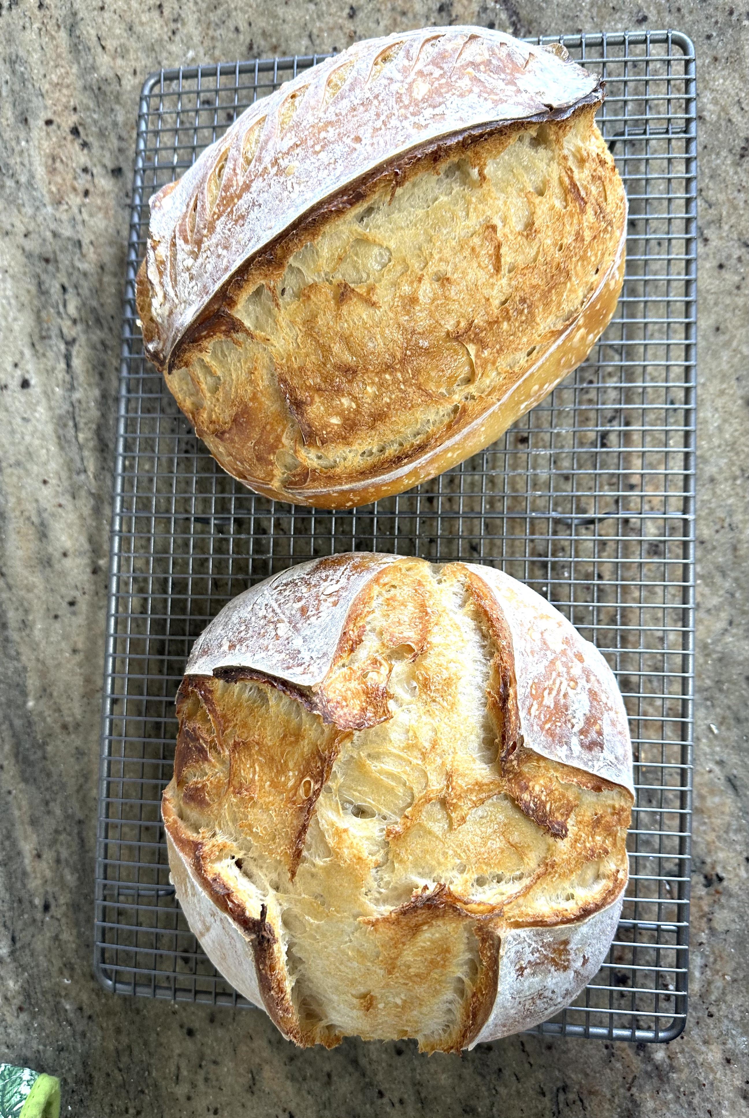 Second batch | Scrolller