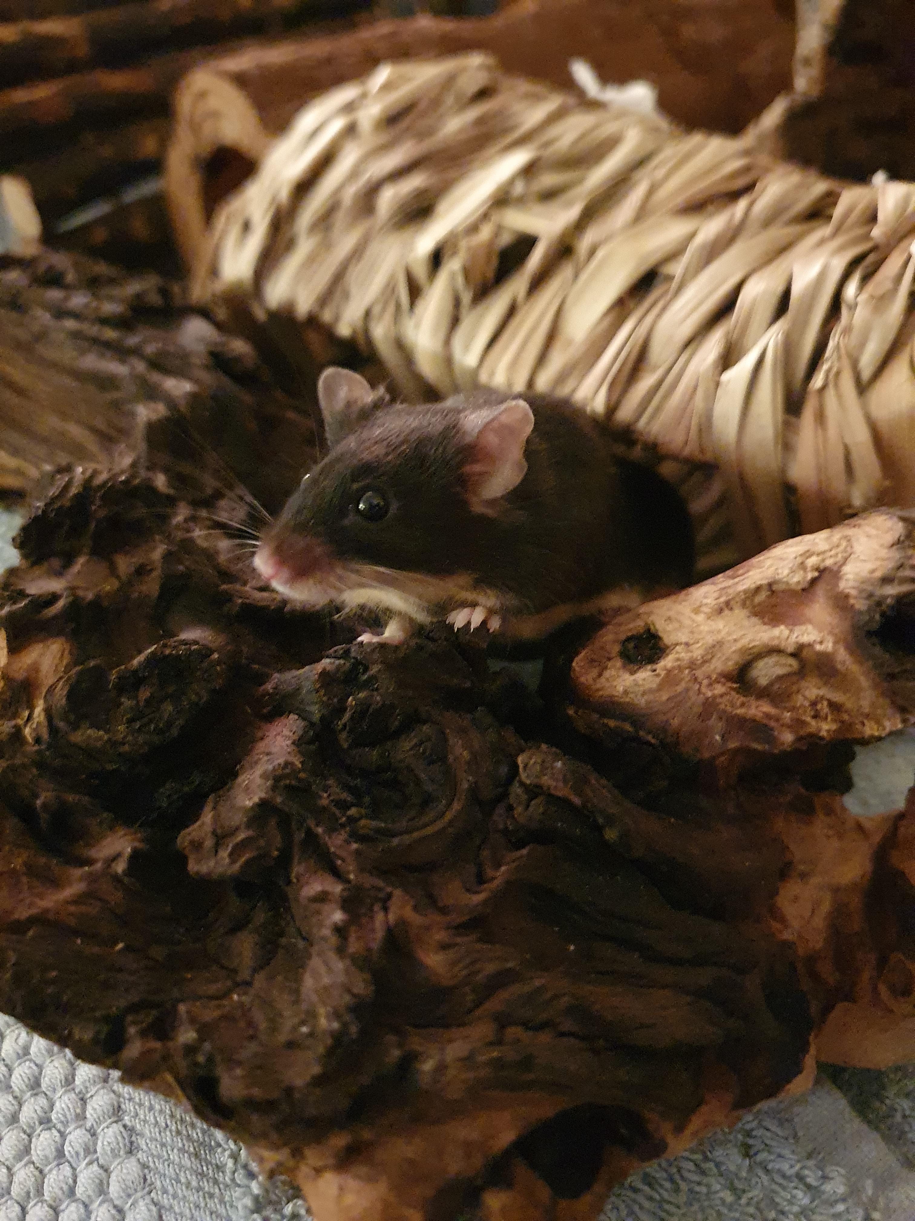 Goodbye Sabrina | Scrolller