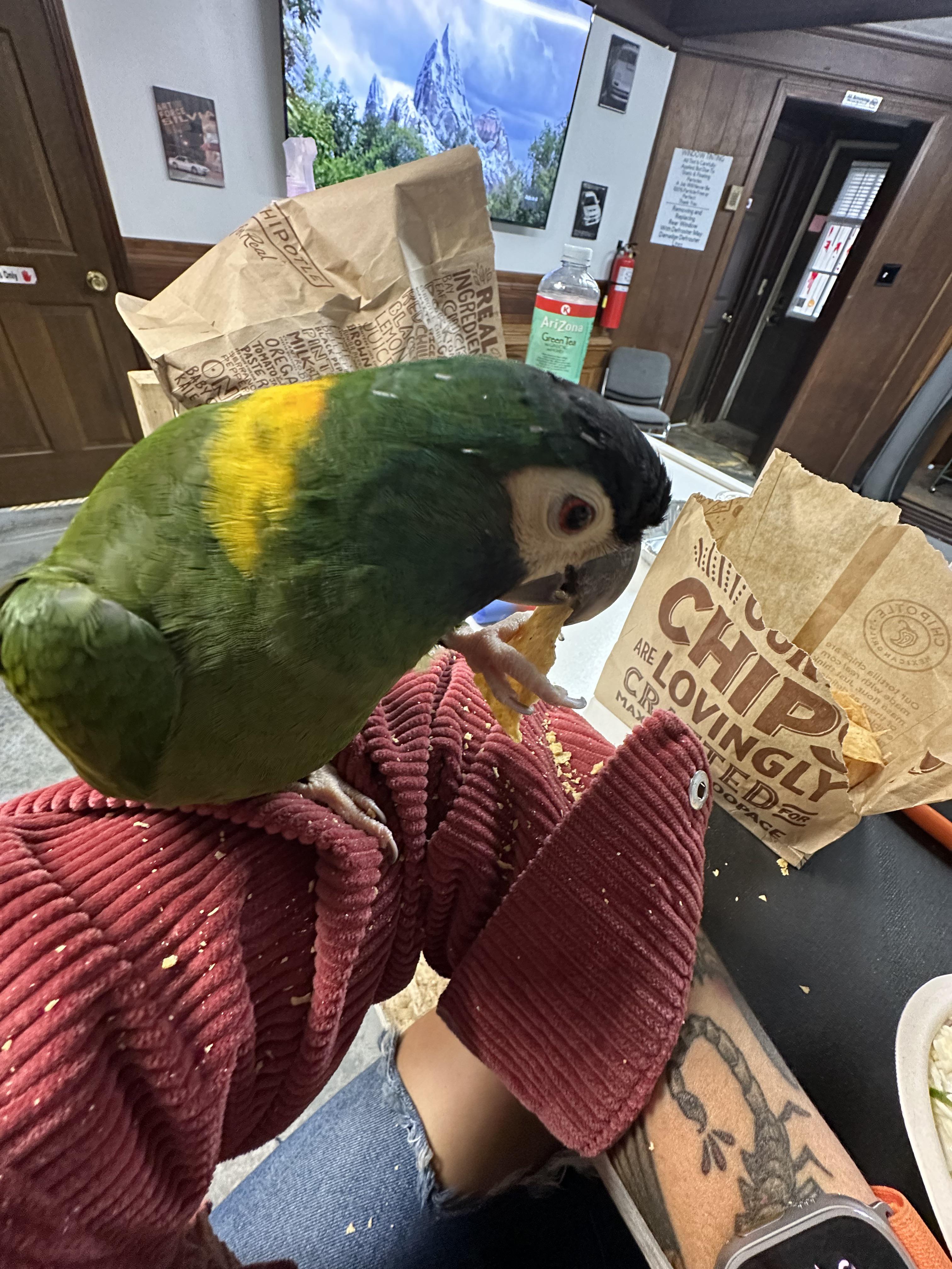 Let’s make a complete and total mess | Scrolller