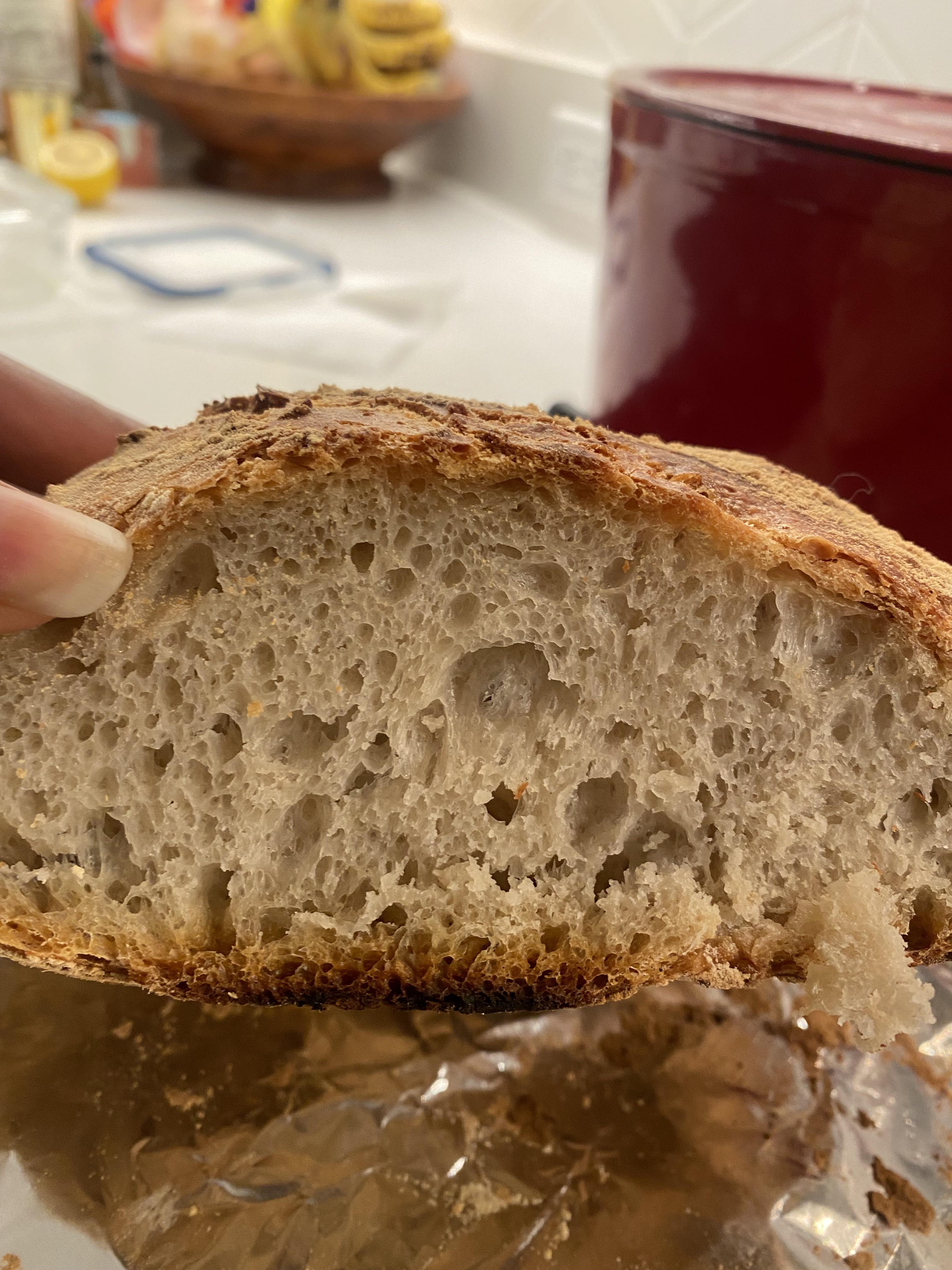 2nd attempt at Boule. Just need to practice shaping and get a scoring tool to make it prettier ...