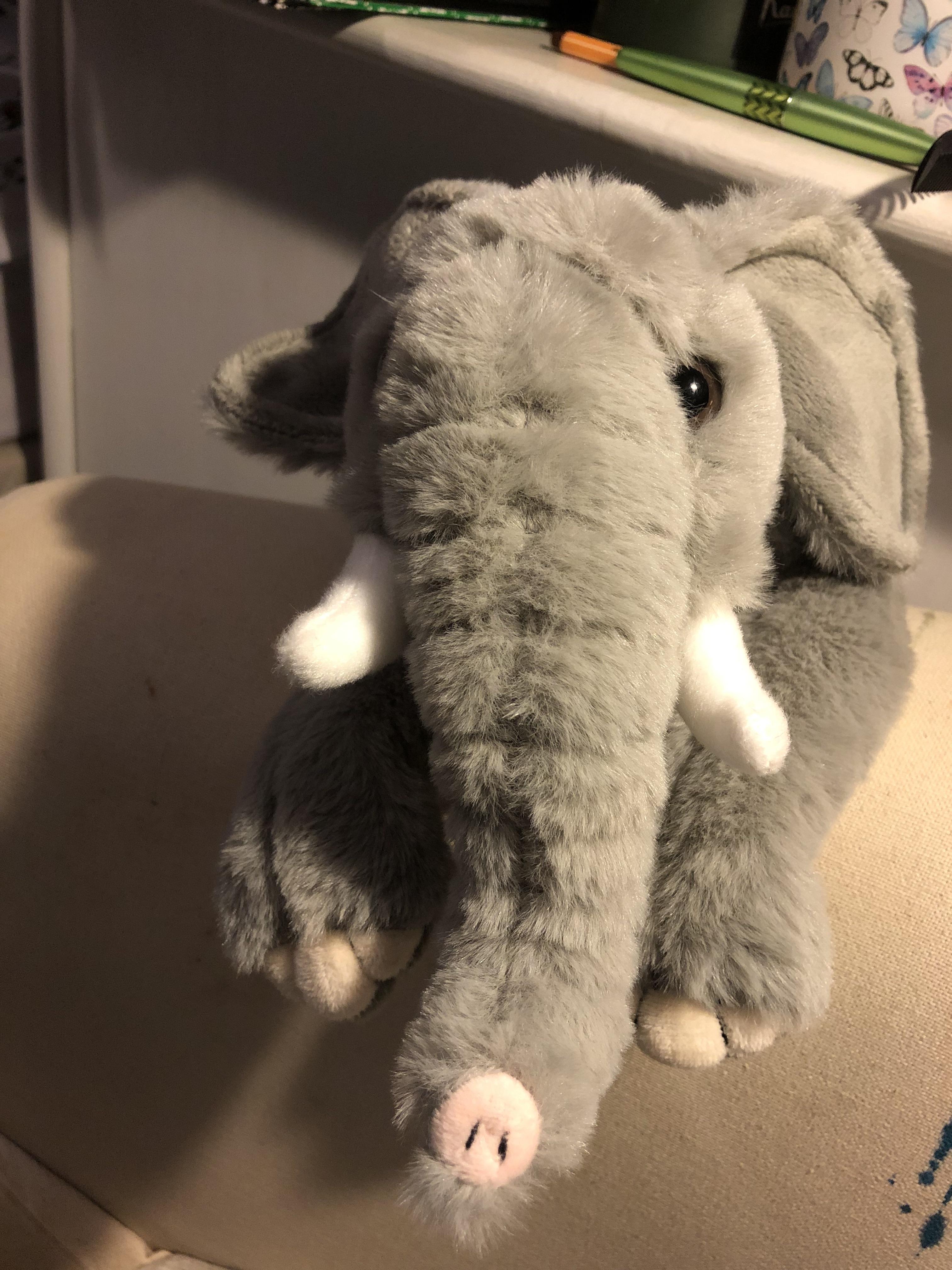 Meet Eva! | Scrolller