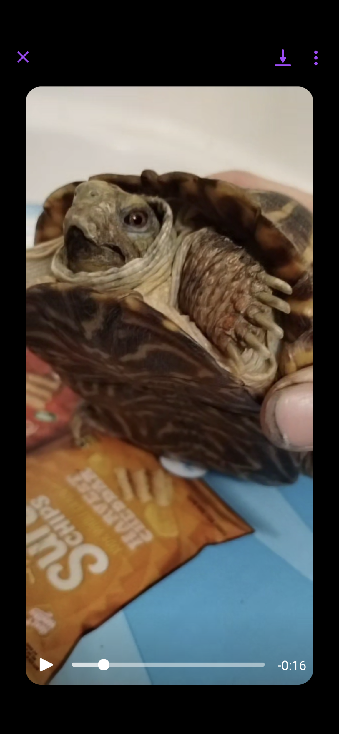 Help identifying | Scrolller