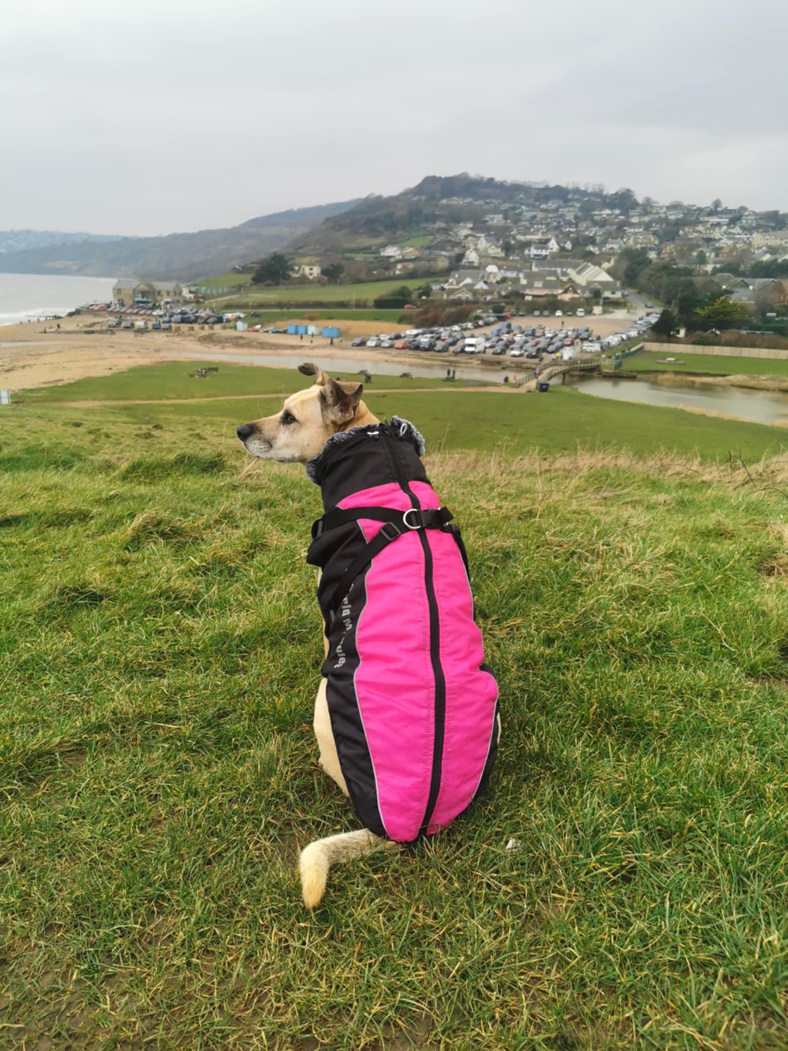 She was watching the waves | Scrolller