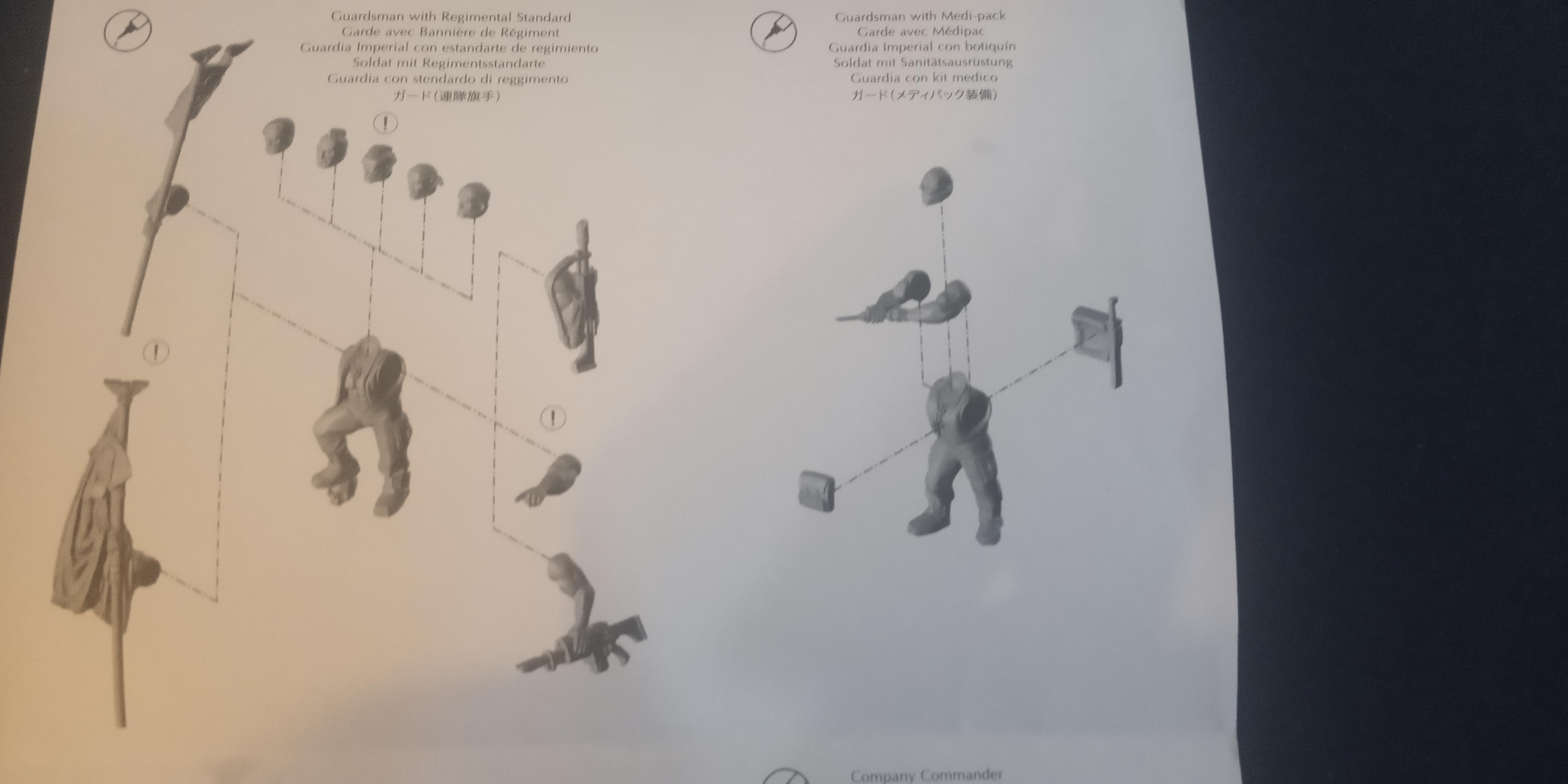 Help needed with Catachan Command Squad | Scrolller