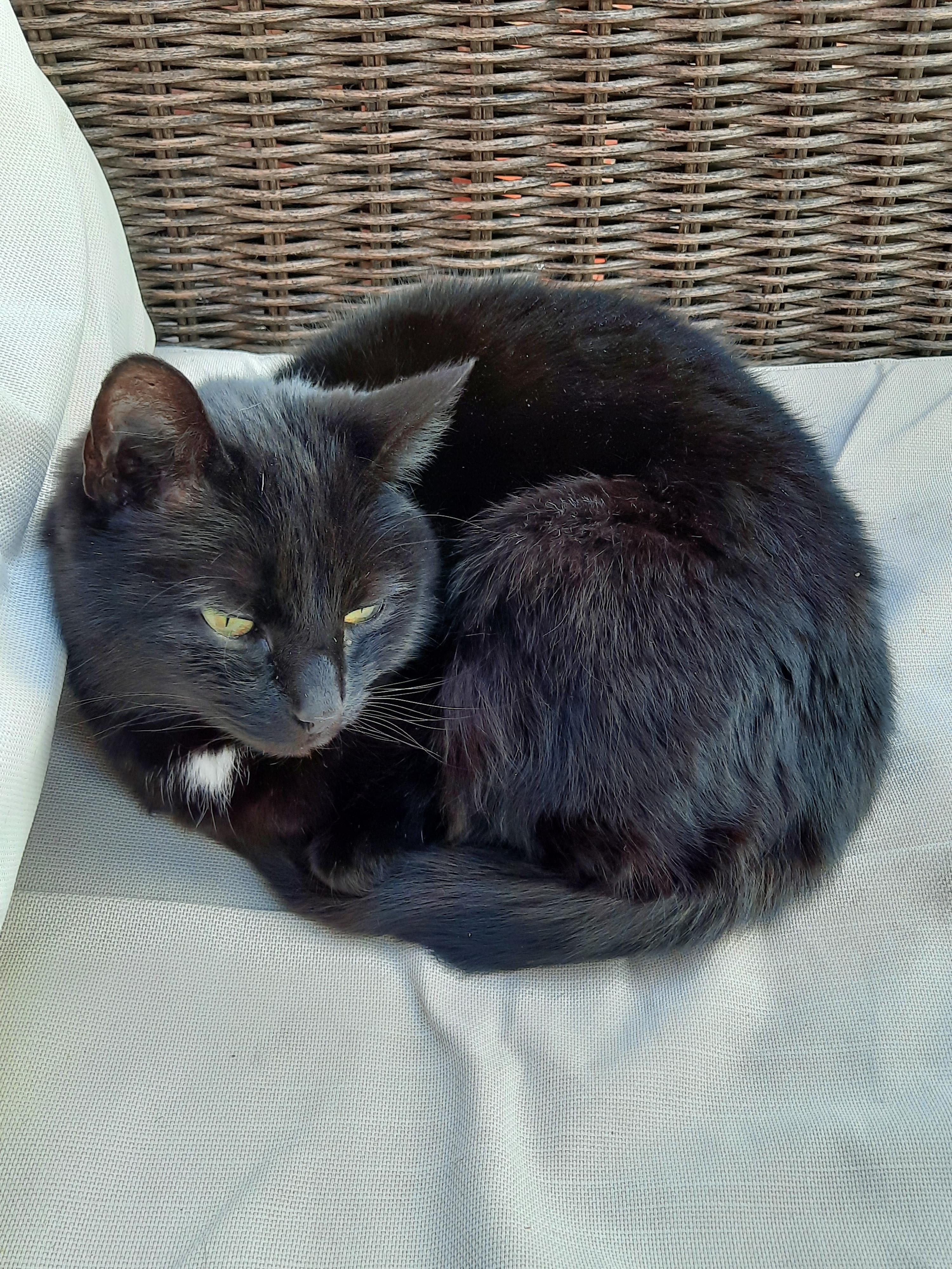 [FO] The art vs the muse. | Scrolller