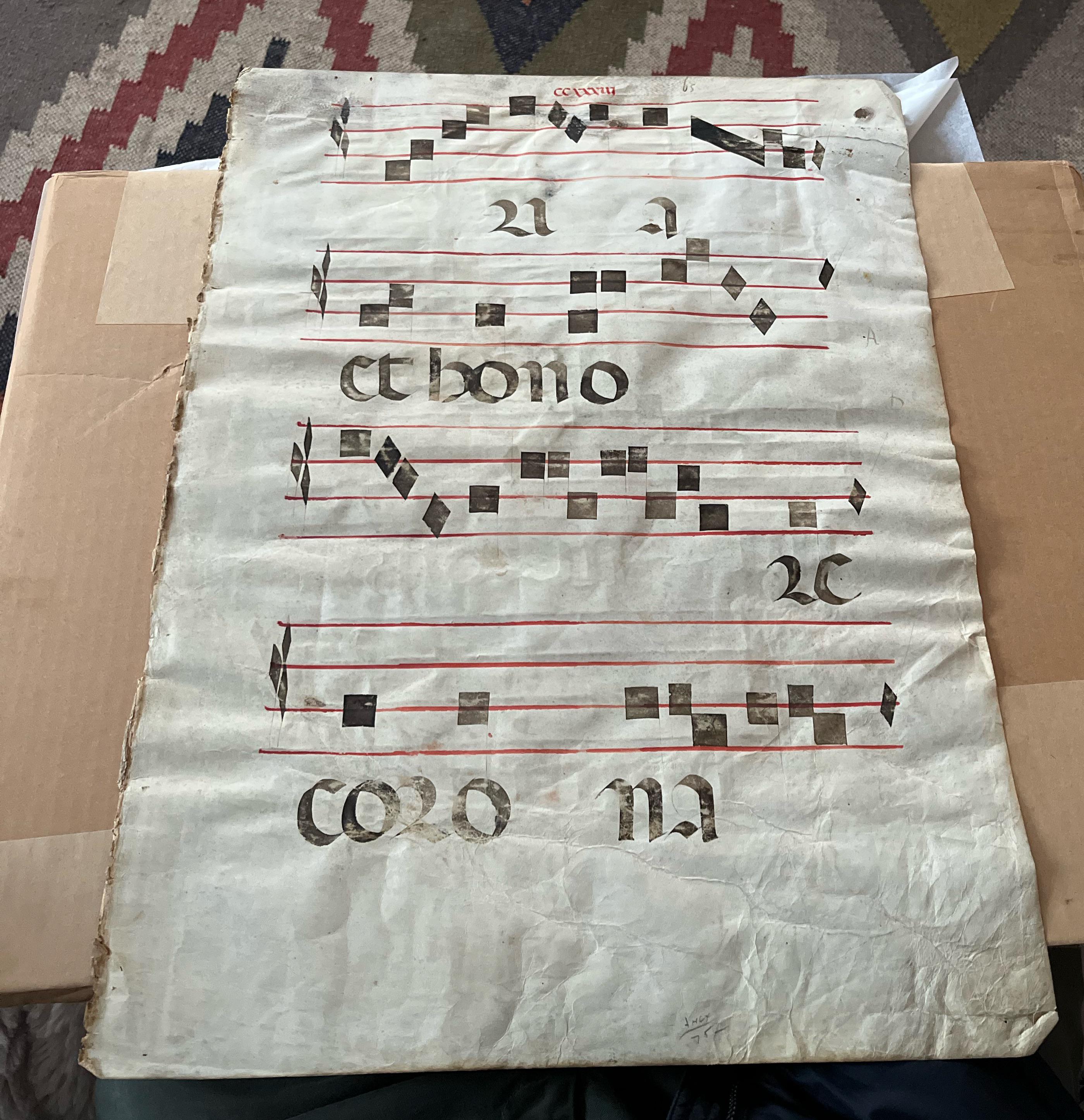 Identification? | Scrolller