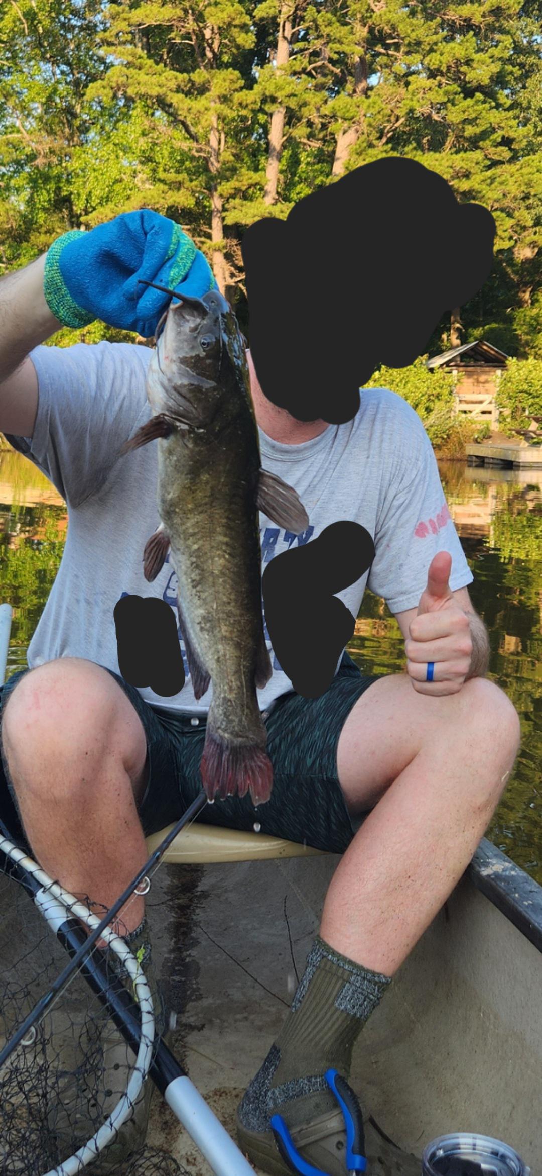Help identifying Catfish | Scrolller