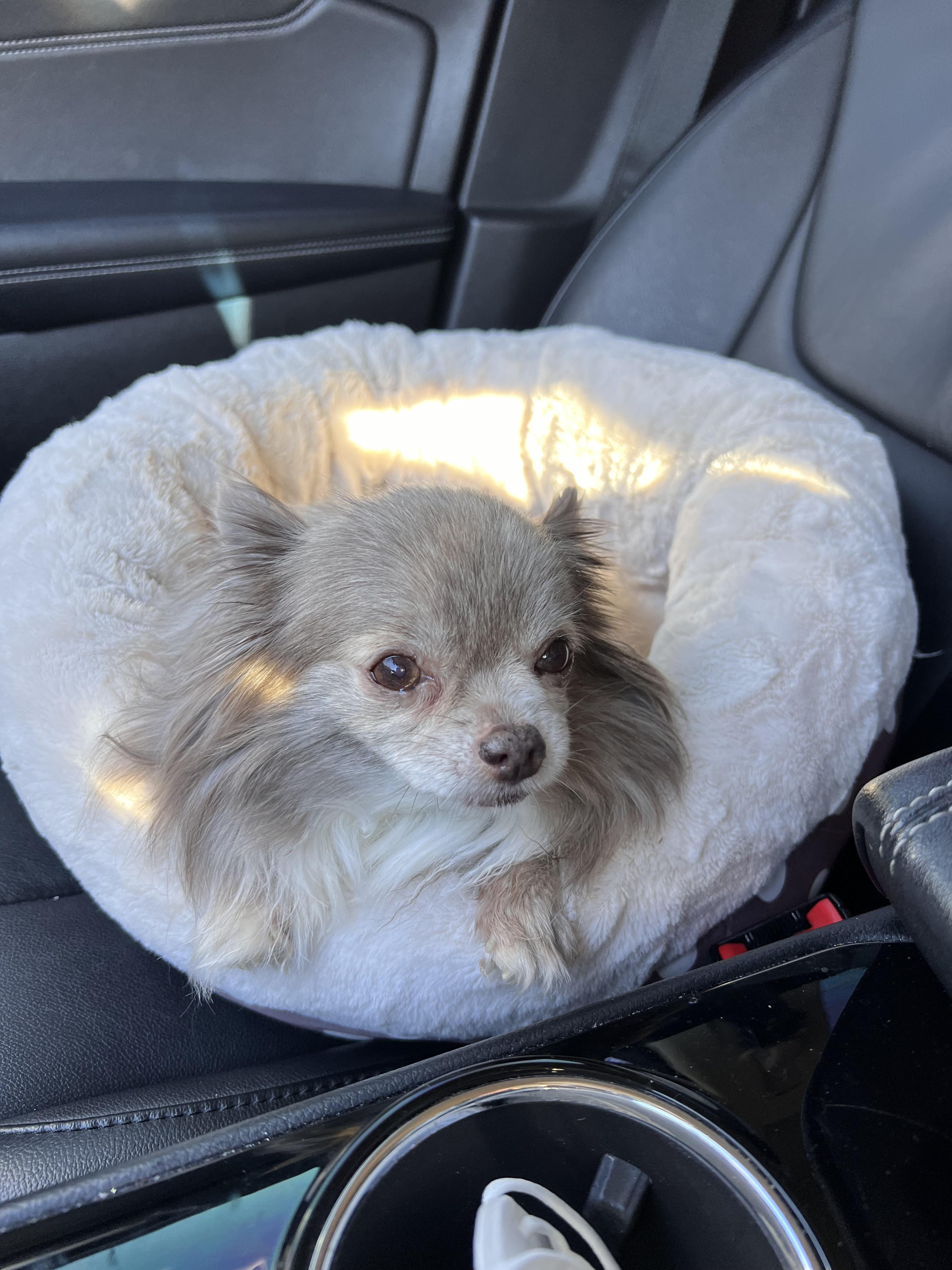 My baby who passed this past April | Scrolller