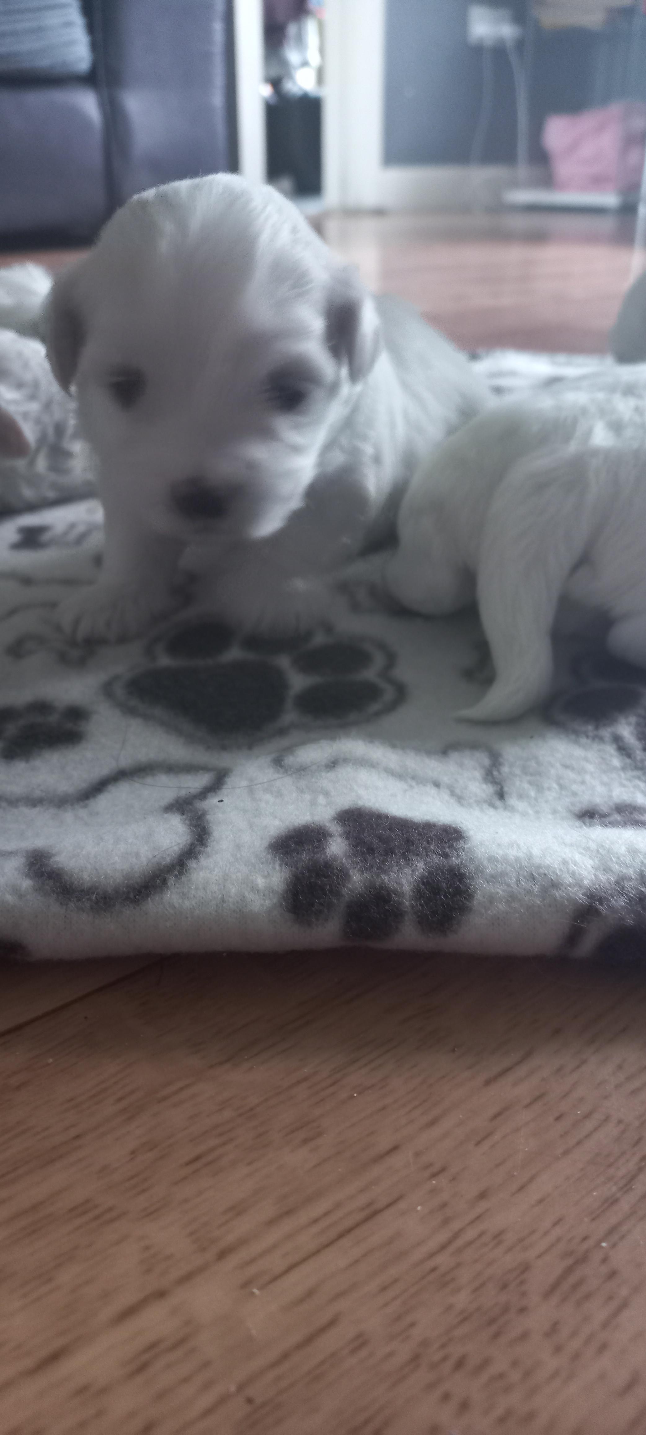 Chilling | Scrolller