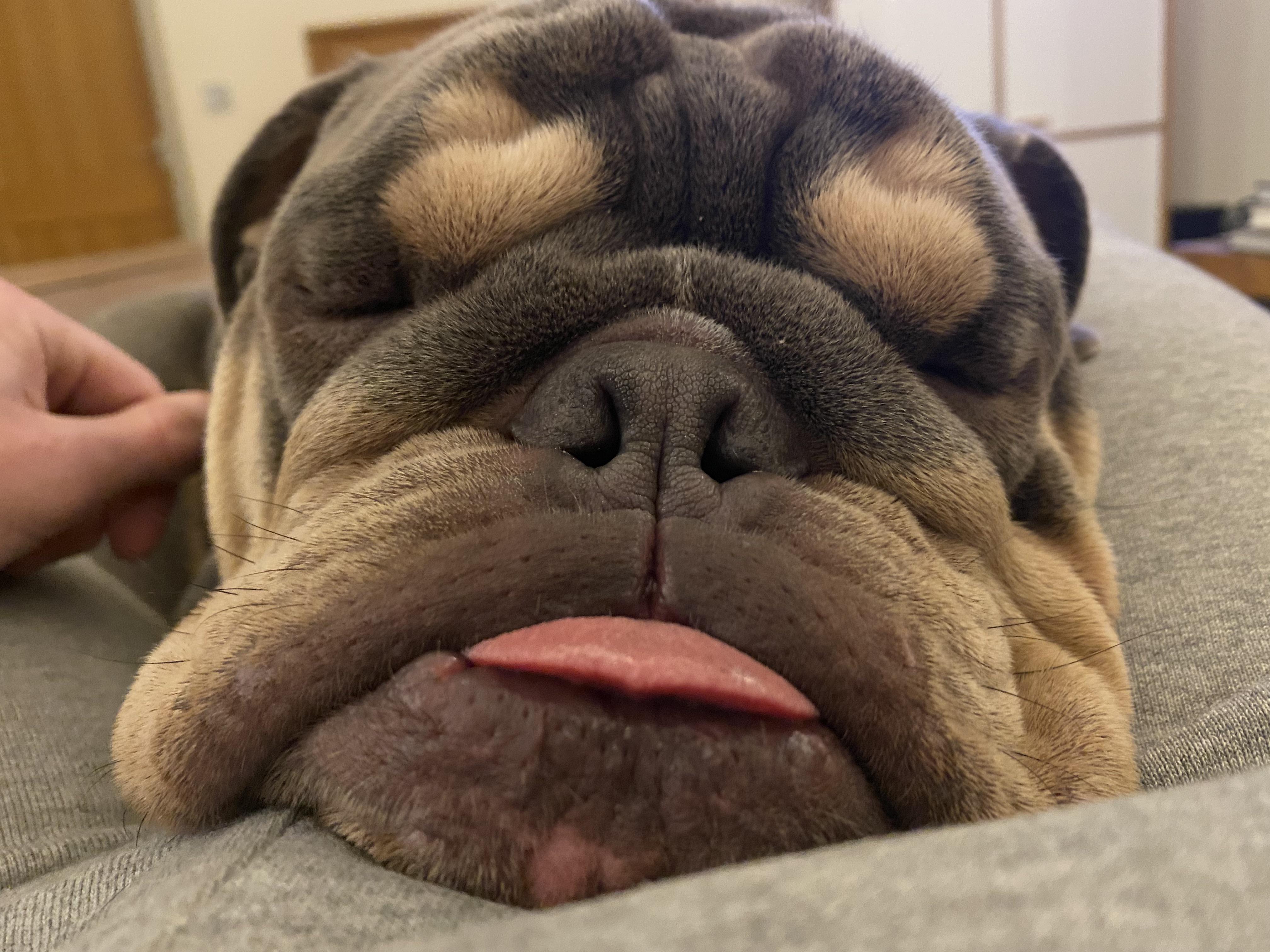 Bloop! [OC] | Scrolller