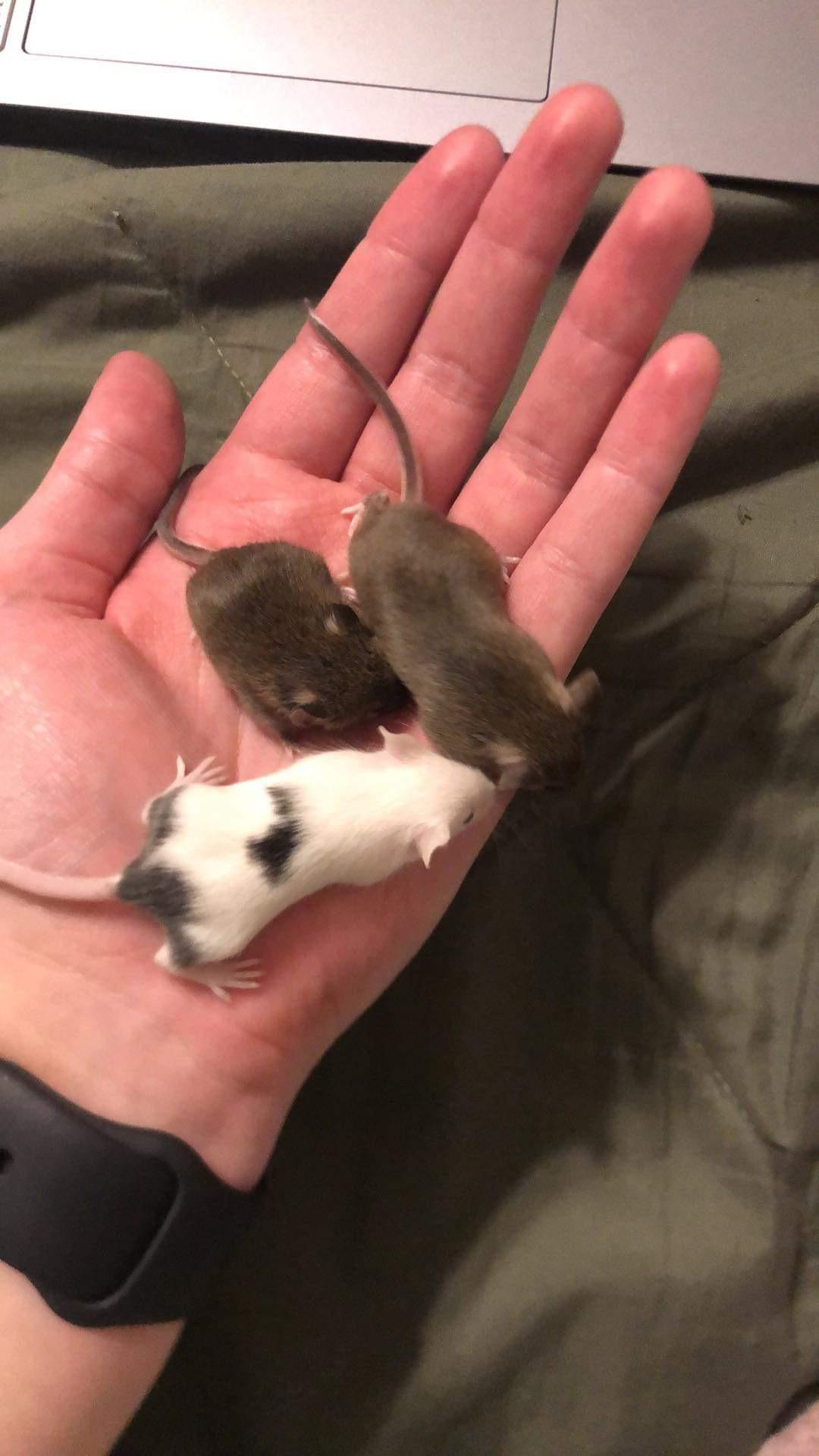 Any tips?? | Scrolller