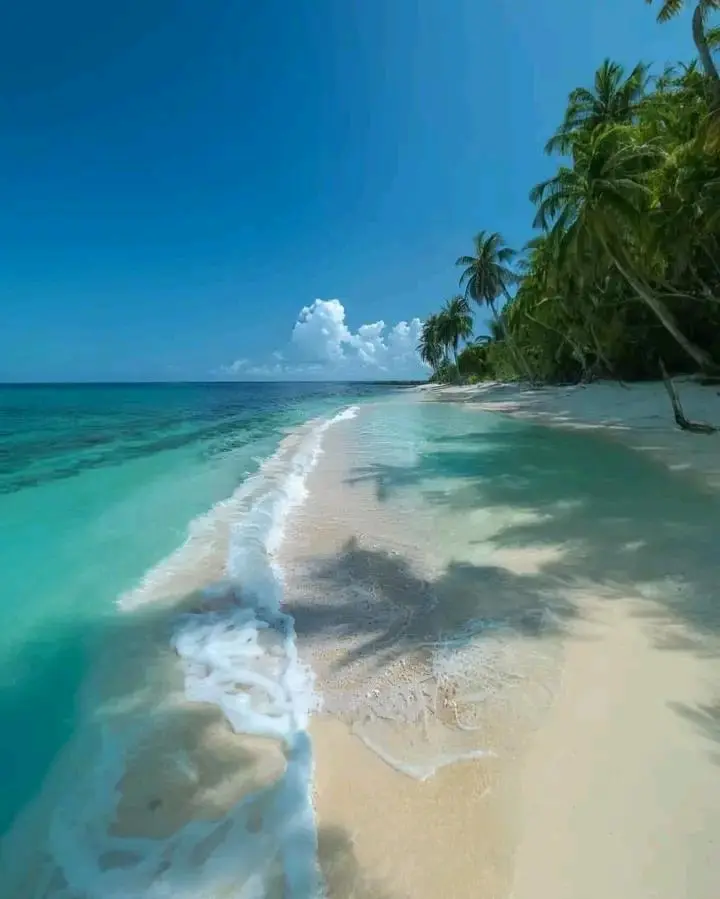 Maldives Beach 🩵 | Scrolller