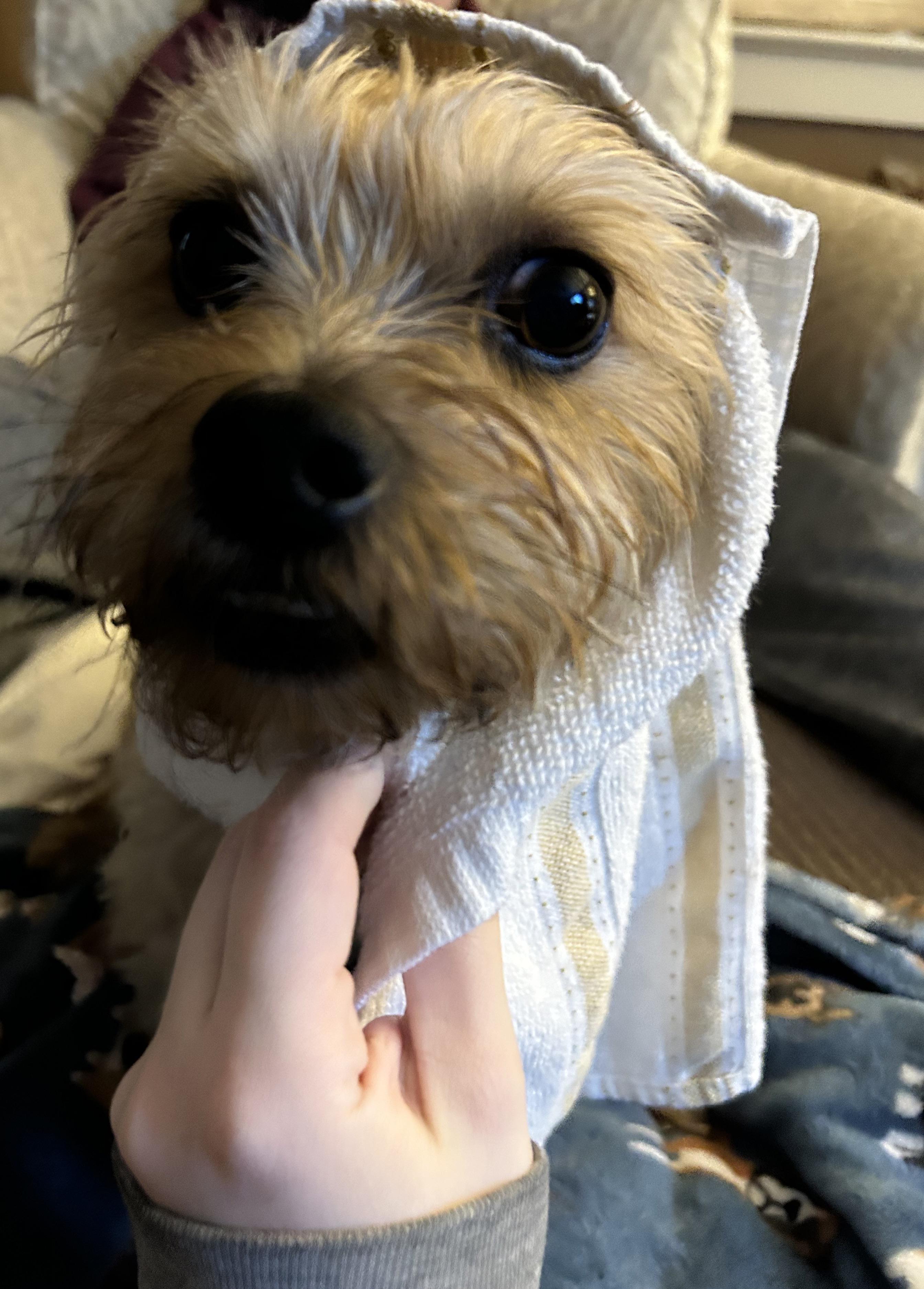 May I offer you some radishes??? | Scrolller