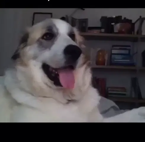 Maybe Maybe Maybe | Scrolller