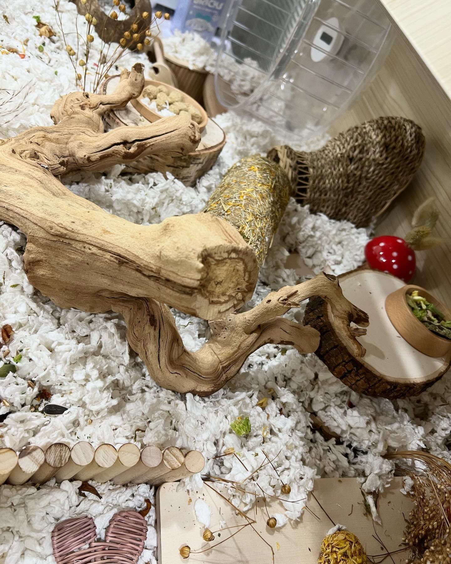 New Cage Set Up | Scrolller