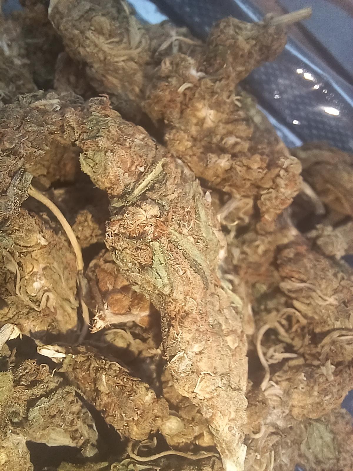 Brazilian cannabis | Scrolller