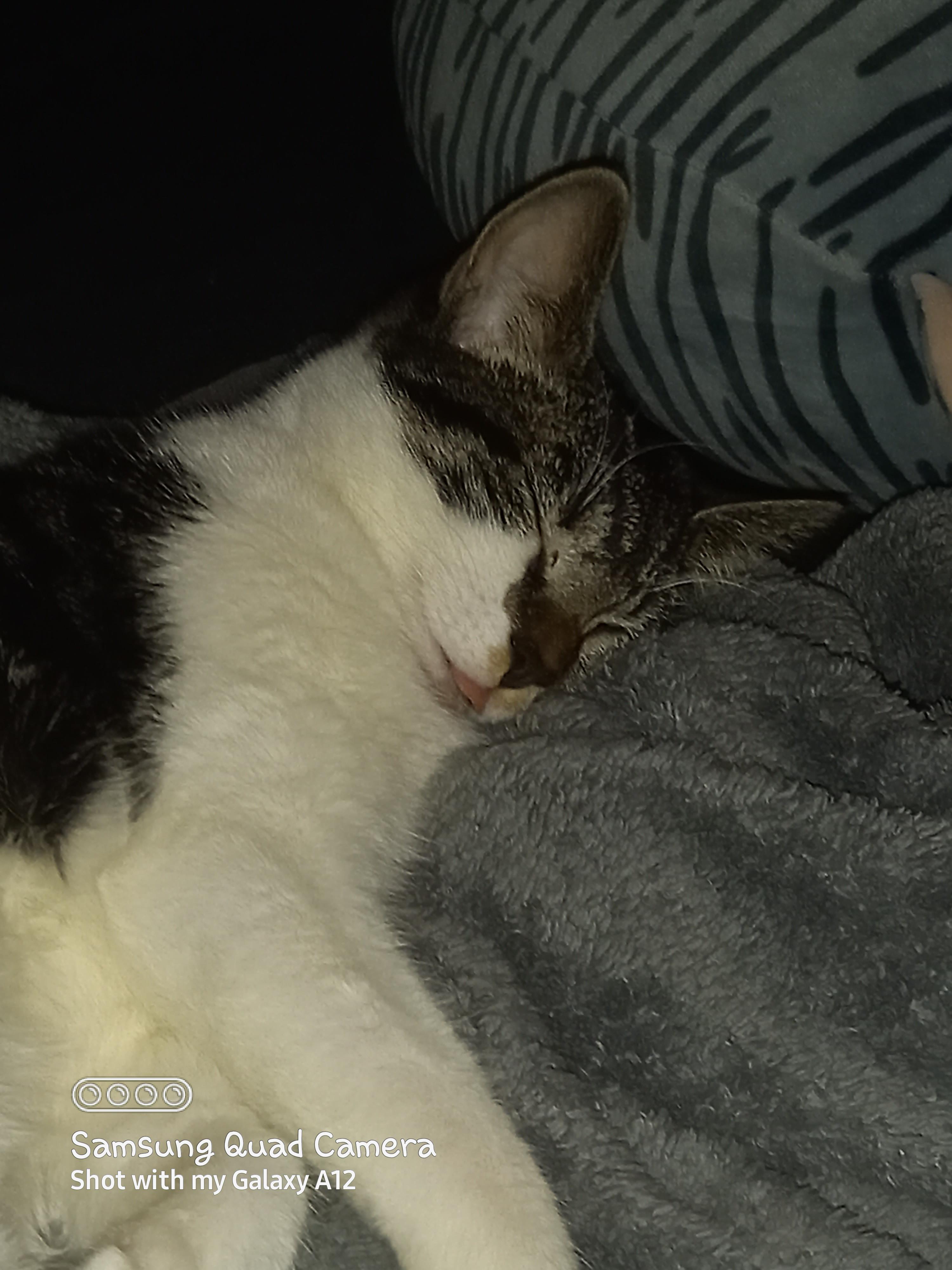 Meet Sprite | Scrolller