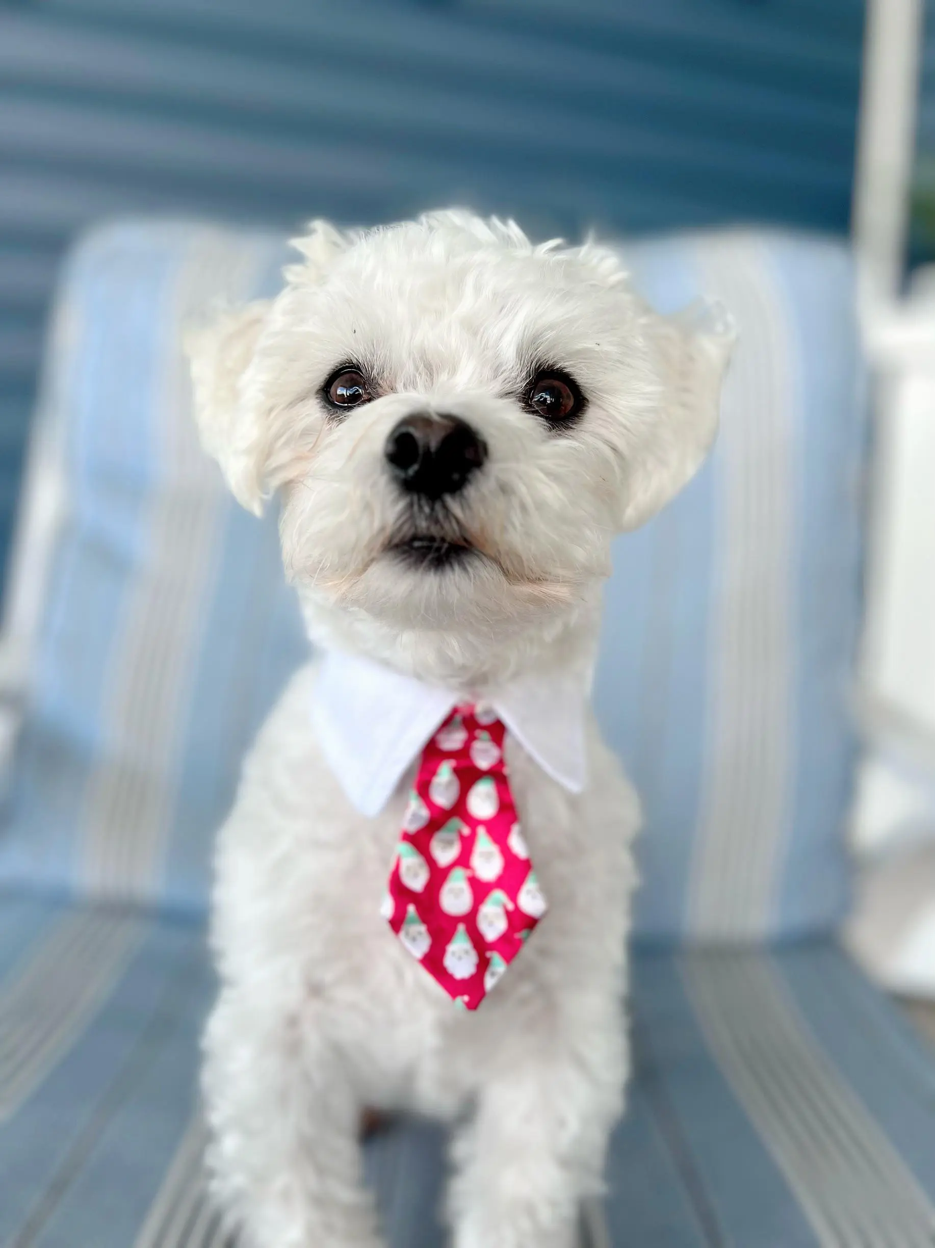 Meet sushi! | Scrolller