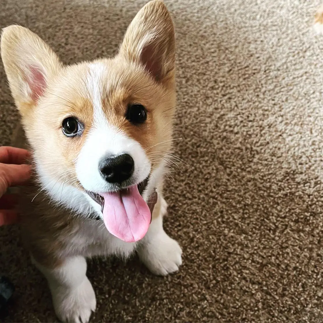 Meet Winnie | Scrolller