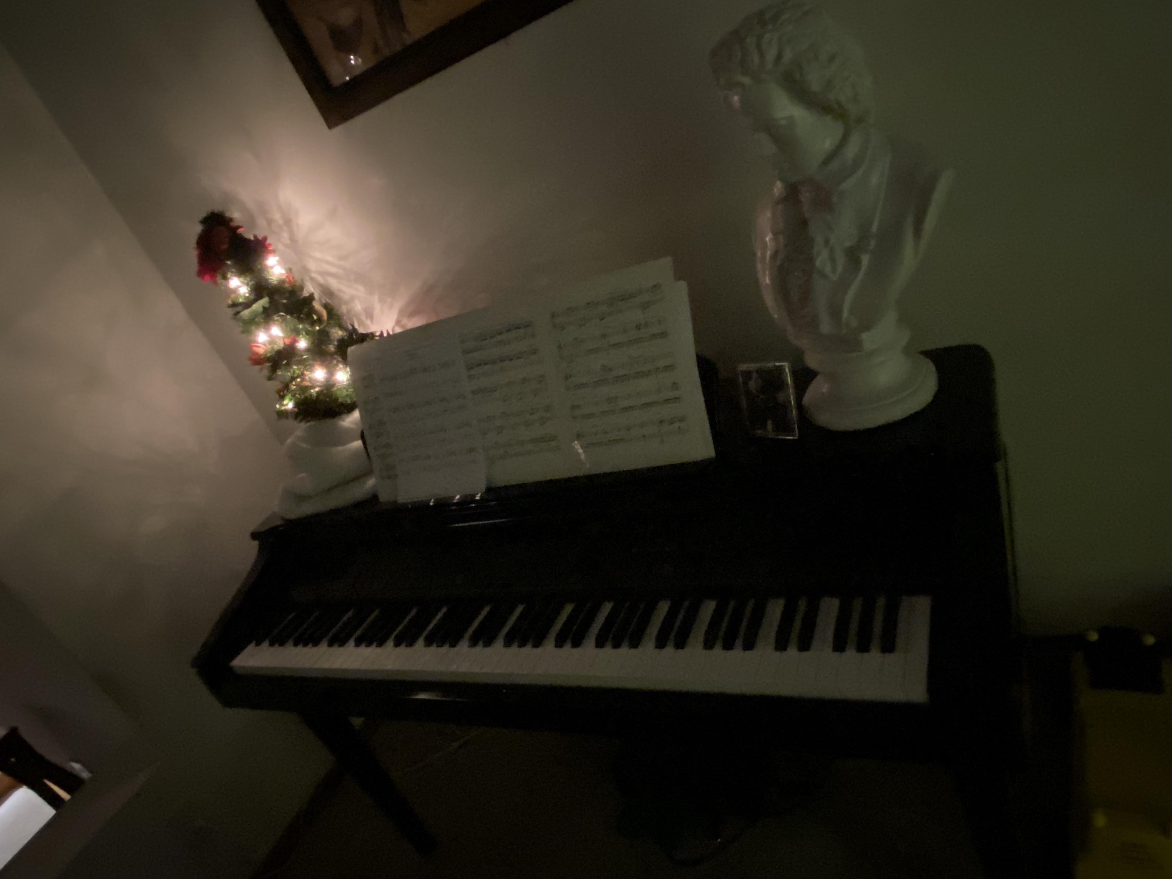 Our trees | Scrolller