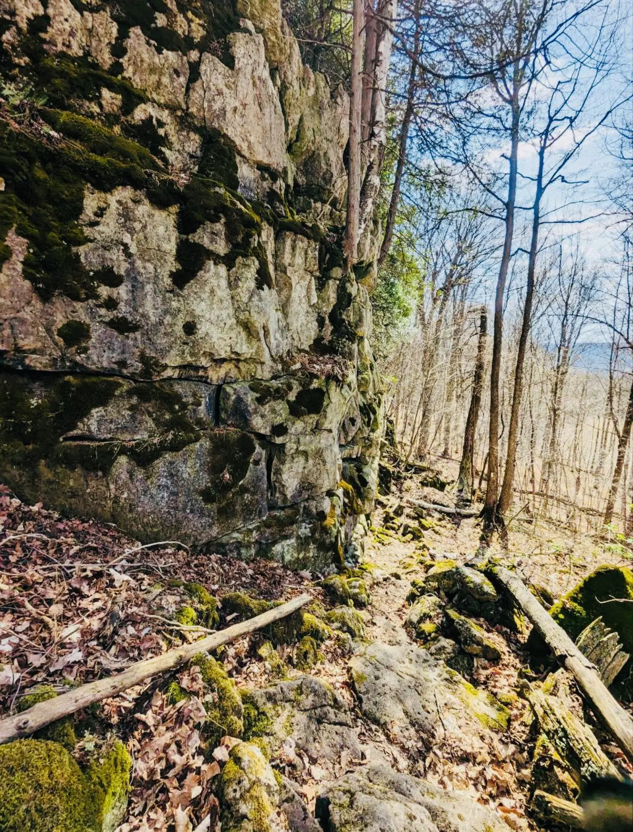 Mental Health Hike | Scrolller