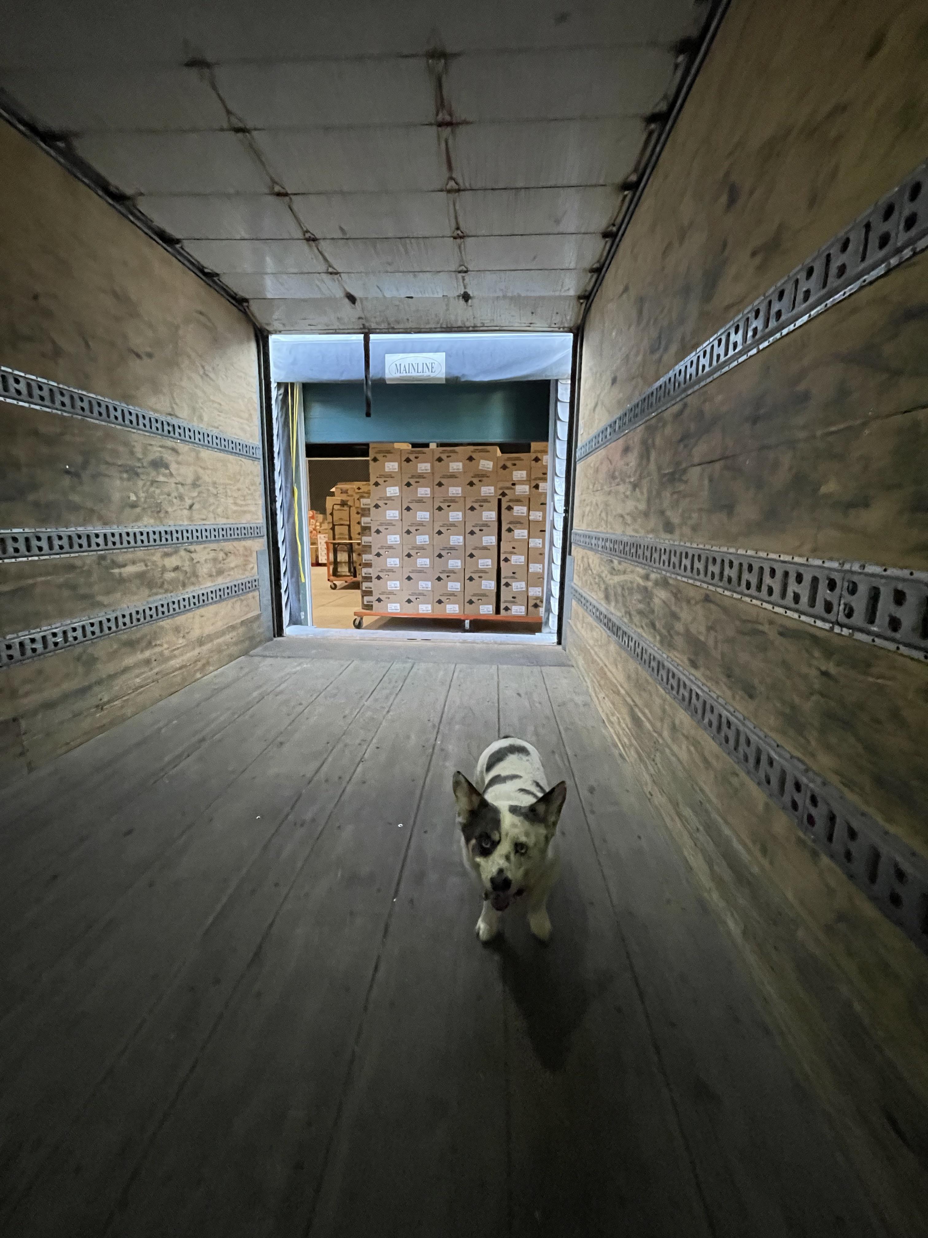 Little Worker | Scrolller