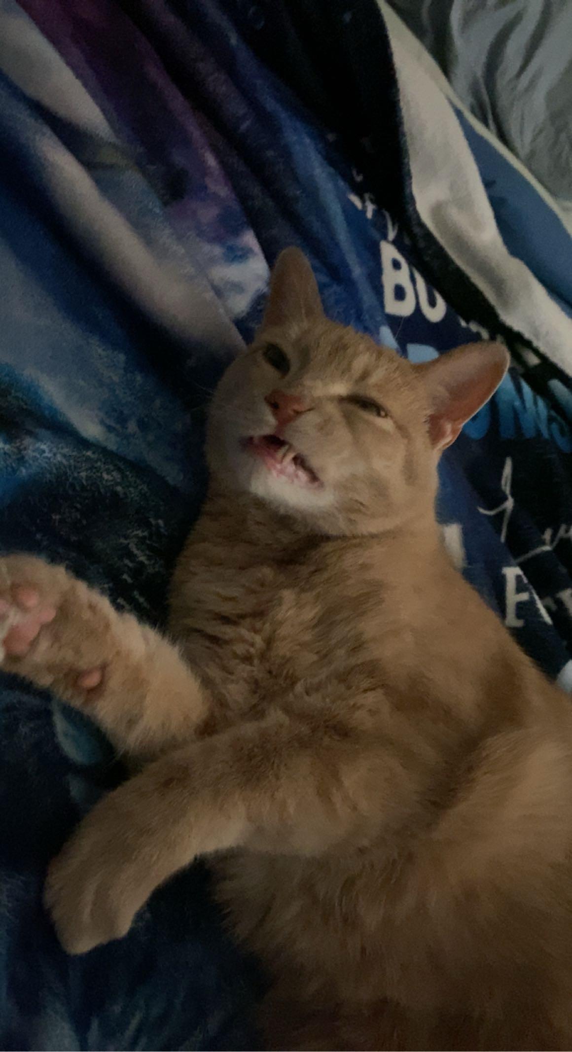 Mid scrunge | Scrolller