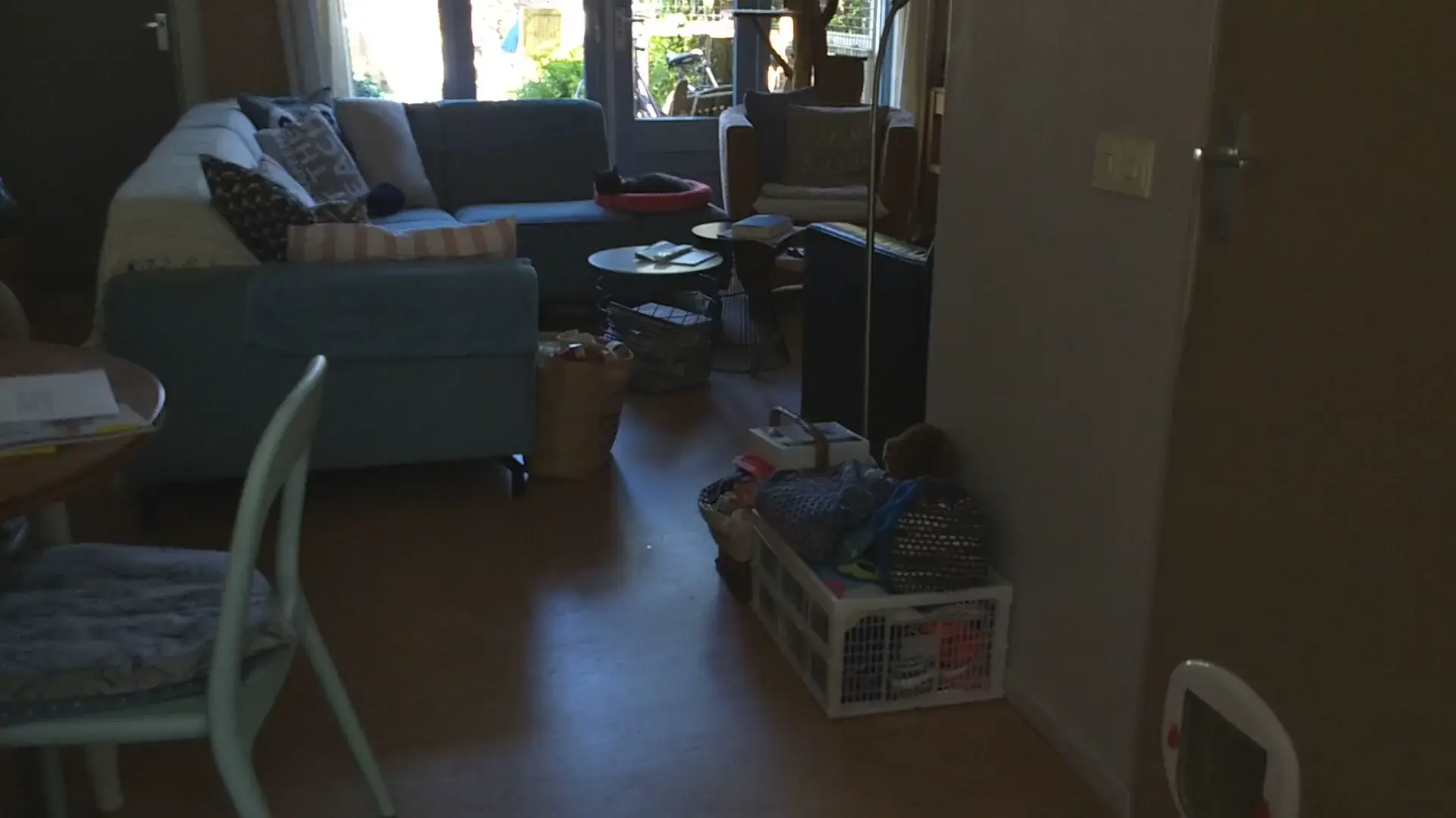 Mindy demanding attention | Scrolller