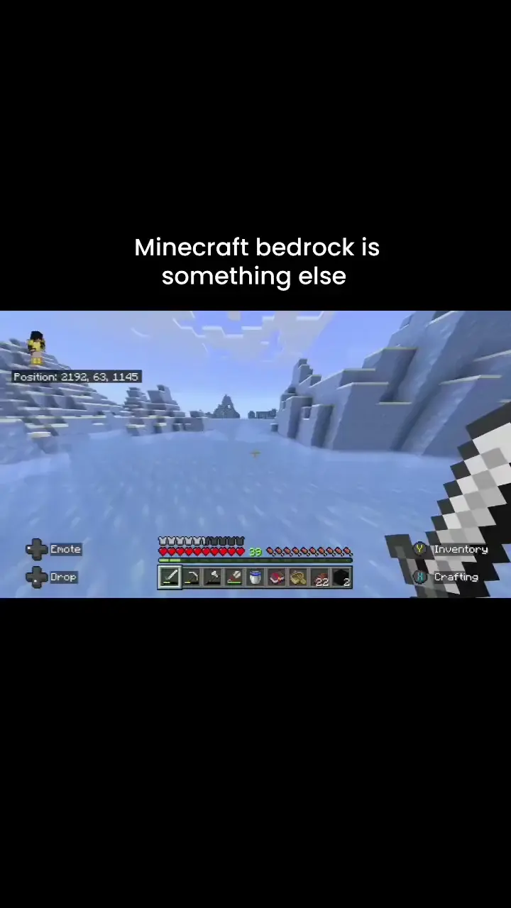 Minecraft Bedrock is something else | Scrolller