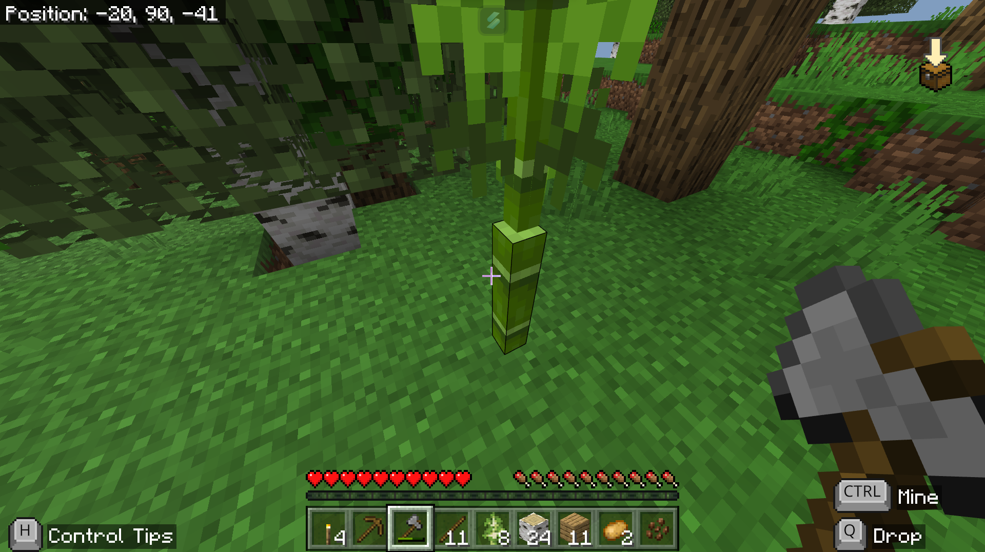 Bamboozling Bamboo... | Scrolller