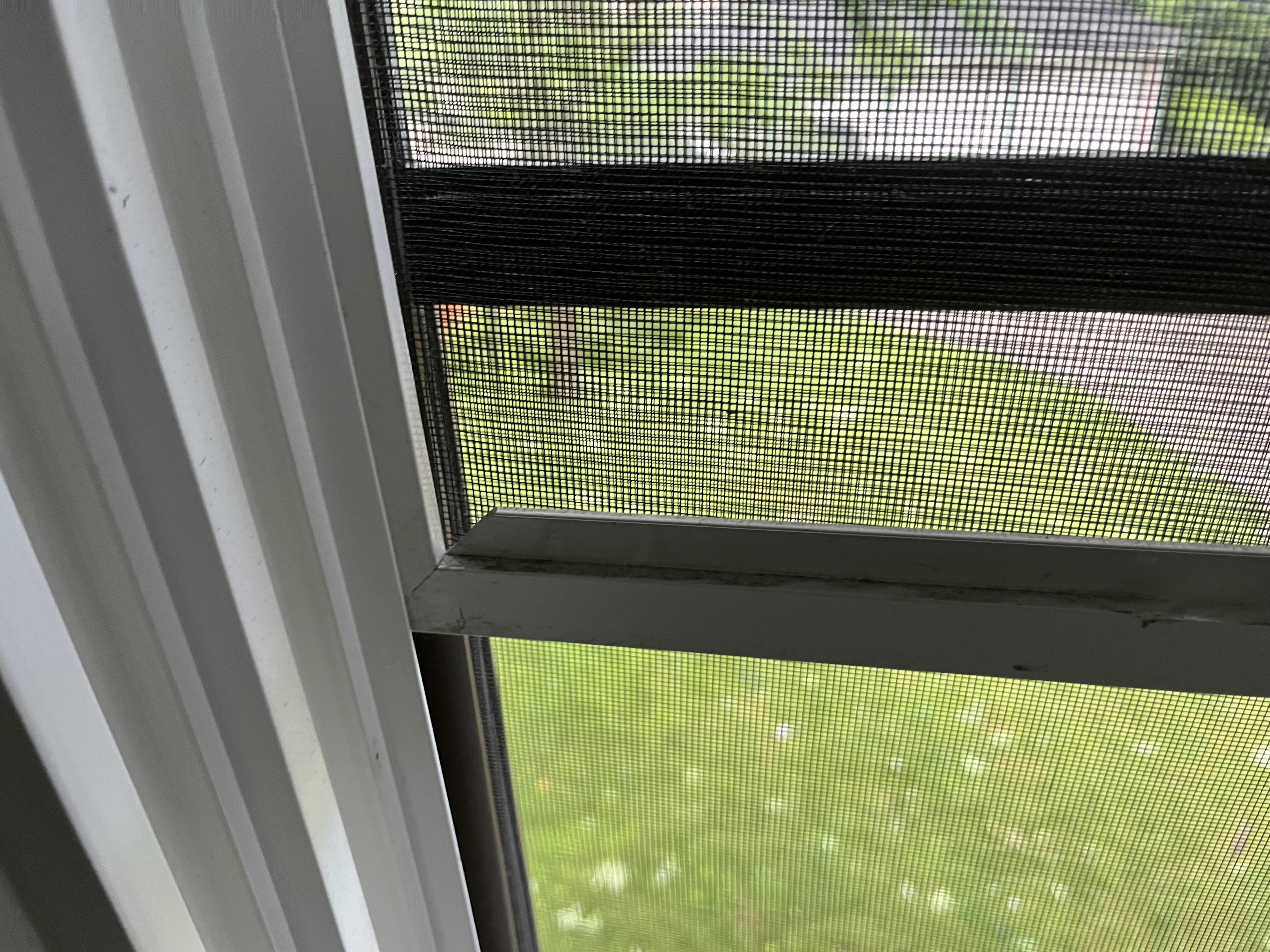 How can I replace this torn screen? | Scrolller