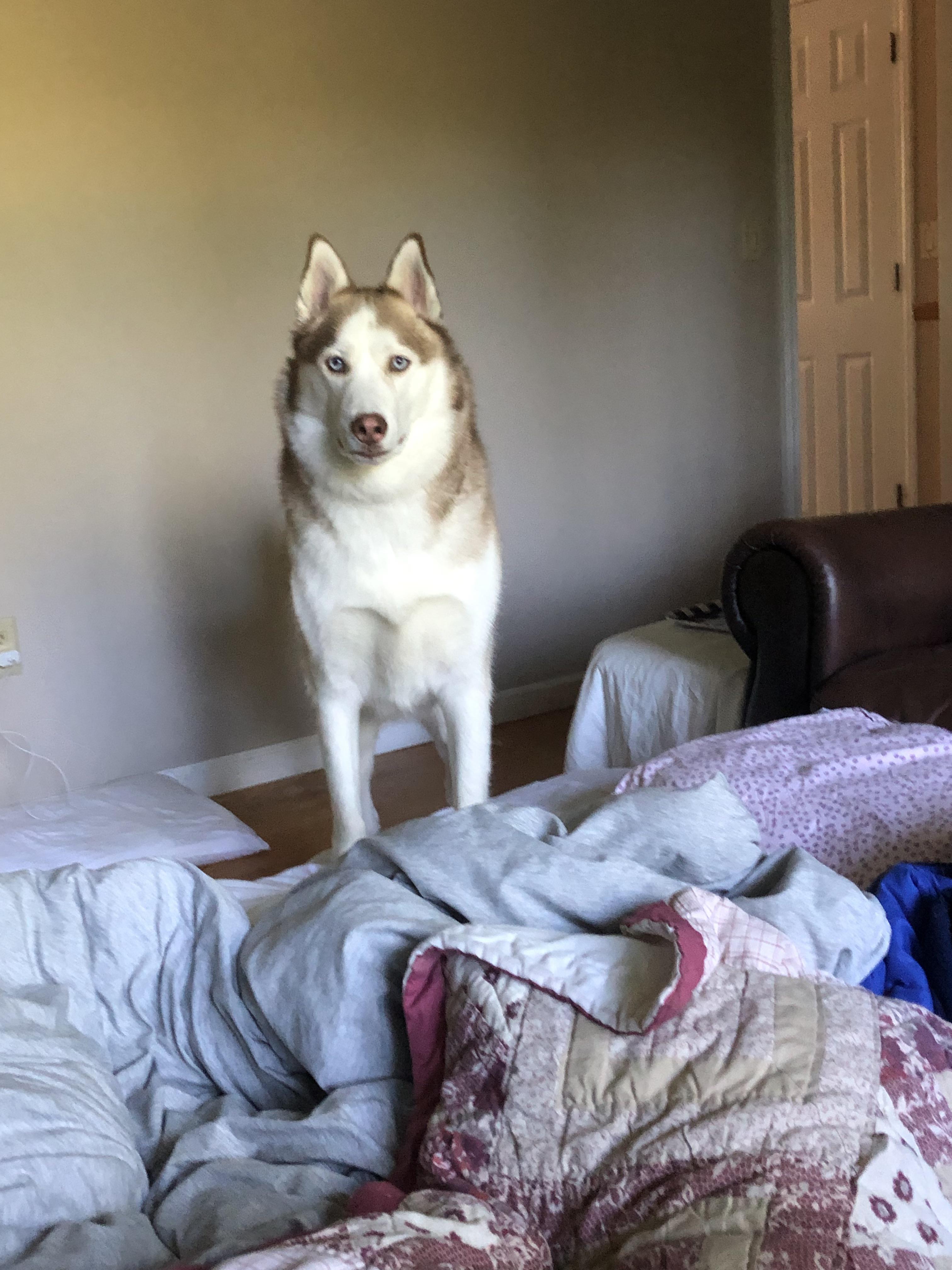 Sometimes he hits ya with the Stare | Scrolller