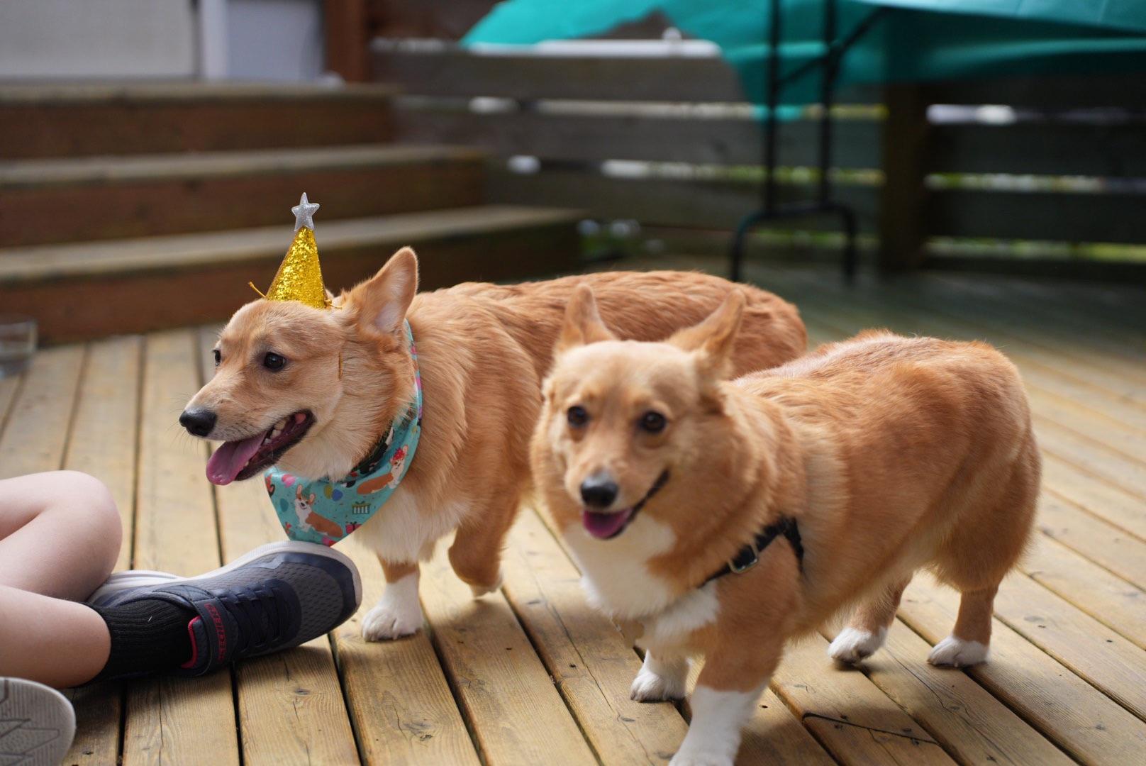 Darwin looks just like his mom, Wanda! | Scrolller