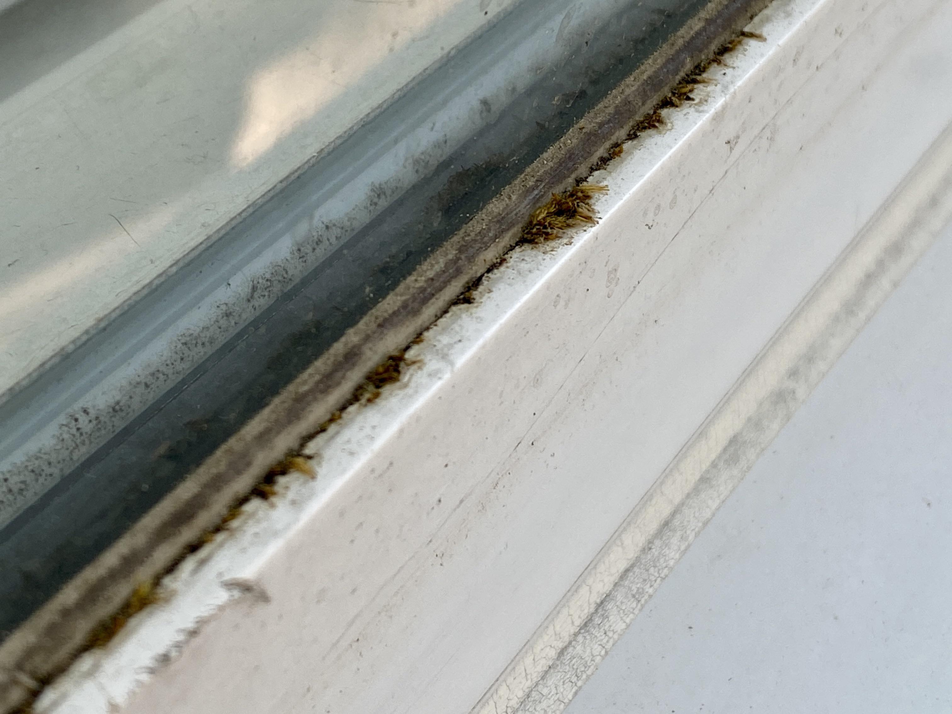 Front bay window has this. Correct in thinking it’s a simple fix? | Scrolller
