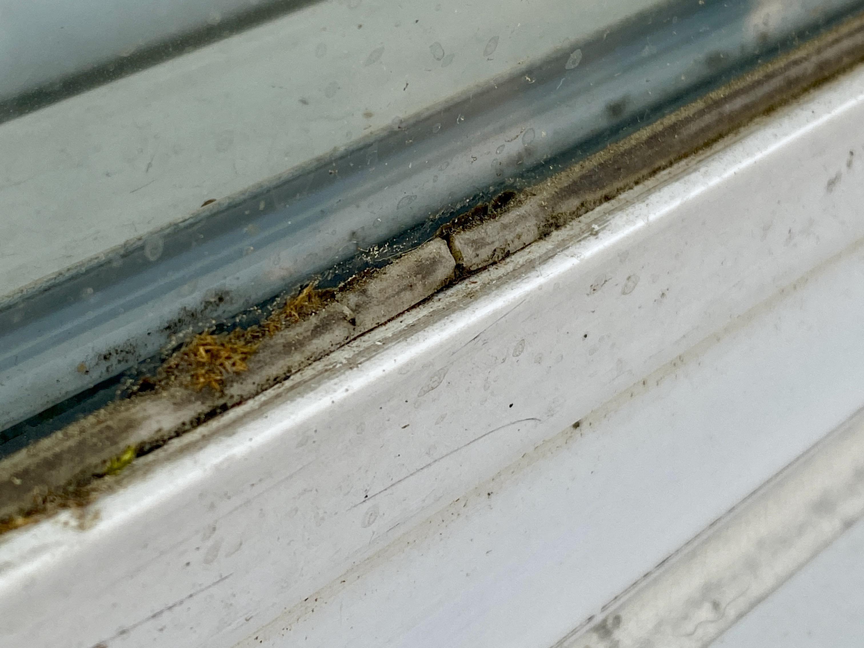 Front bay window has this. Correct in thinking it’s a simple fix? | Scrolller