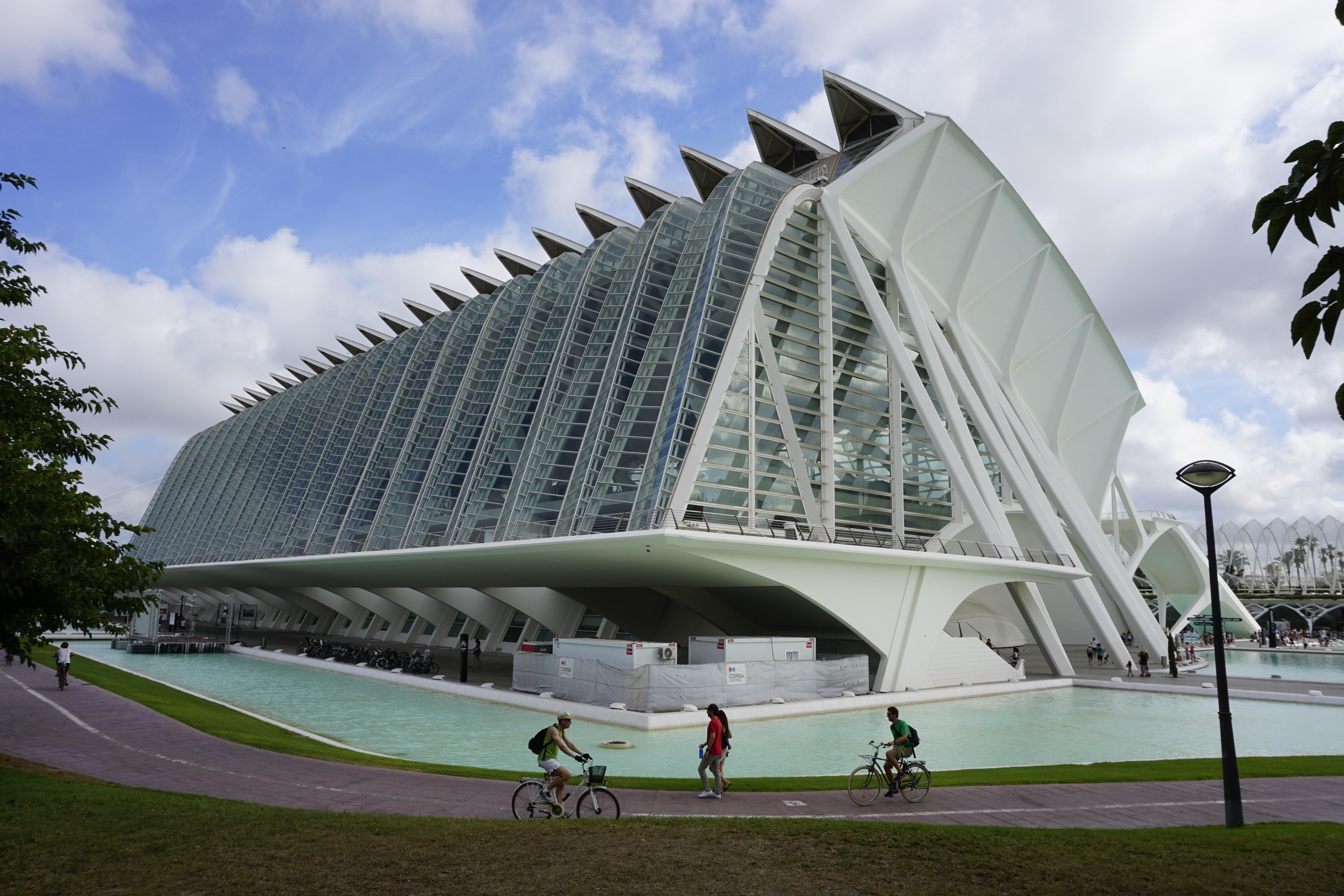 Beginner yet very passionate (+ bonus question) | Scrolller