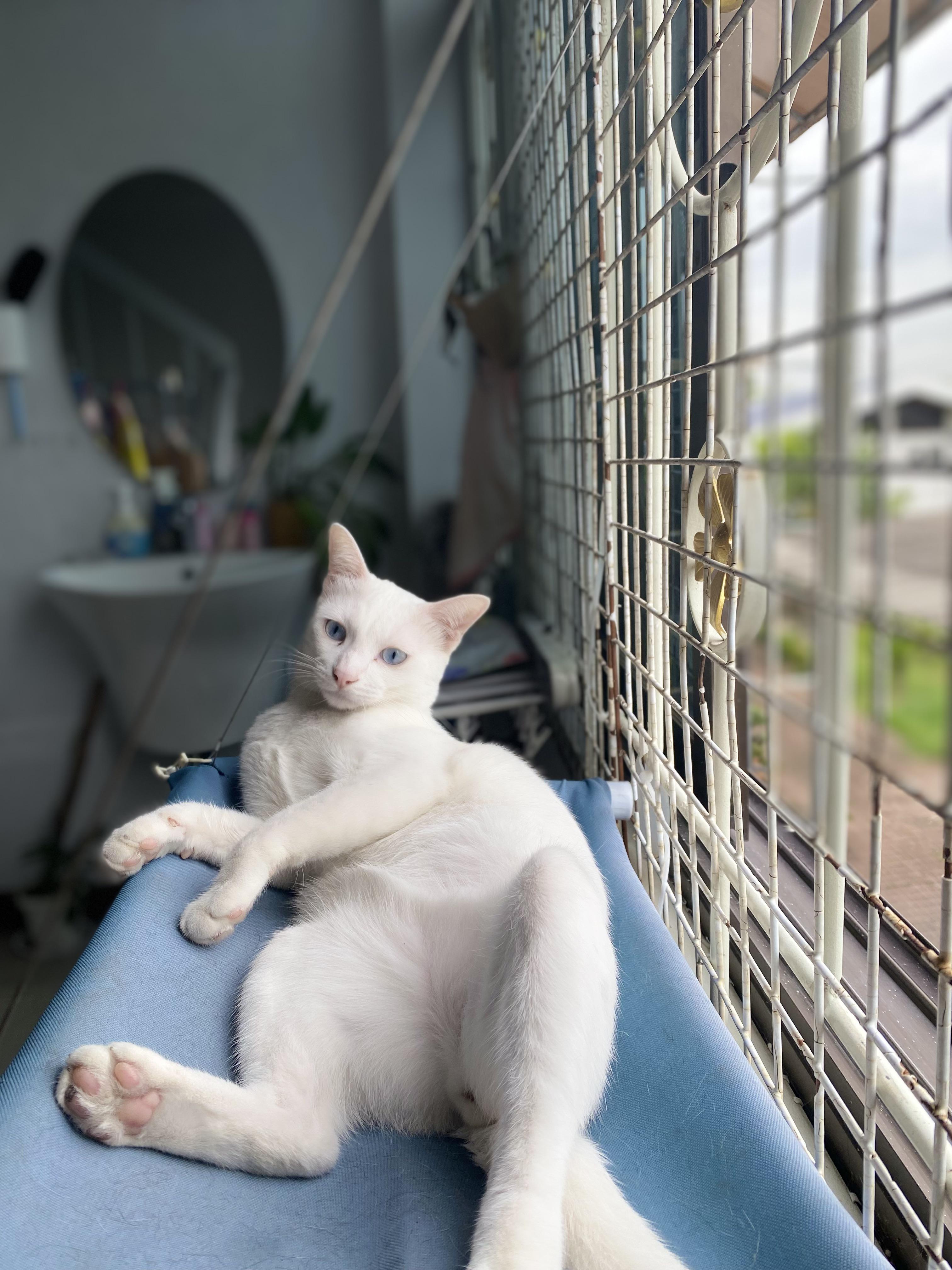 Modeling beans | Scrolller