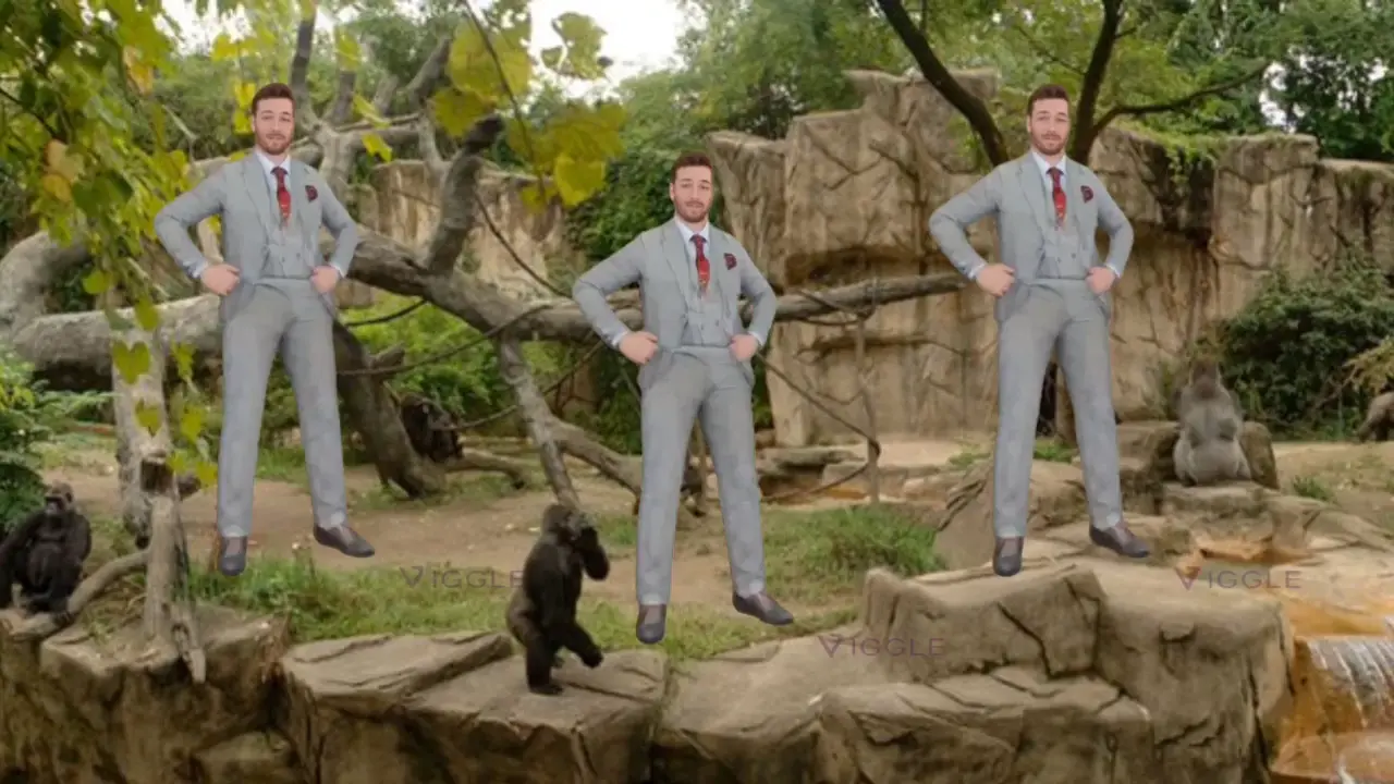 Monke mating dance | Scrolller