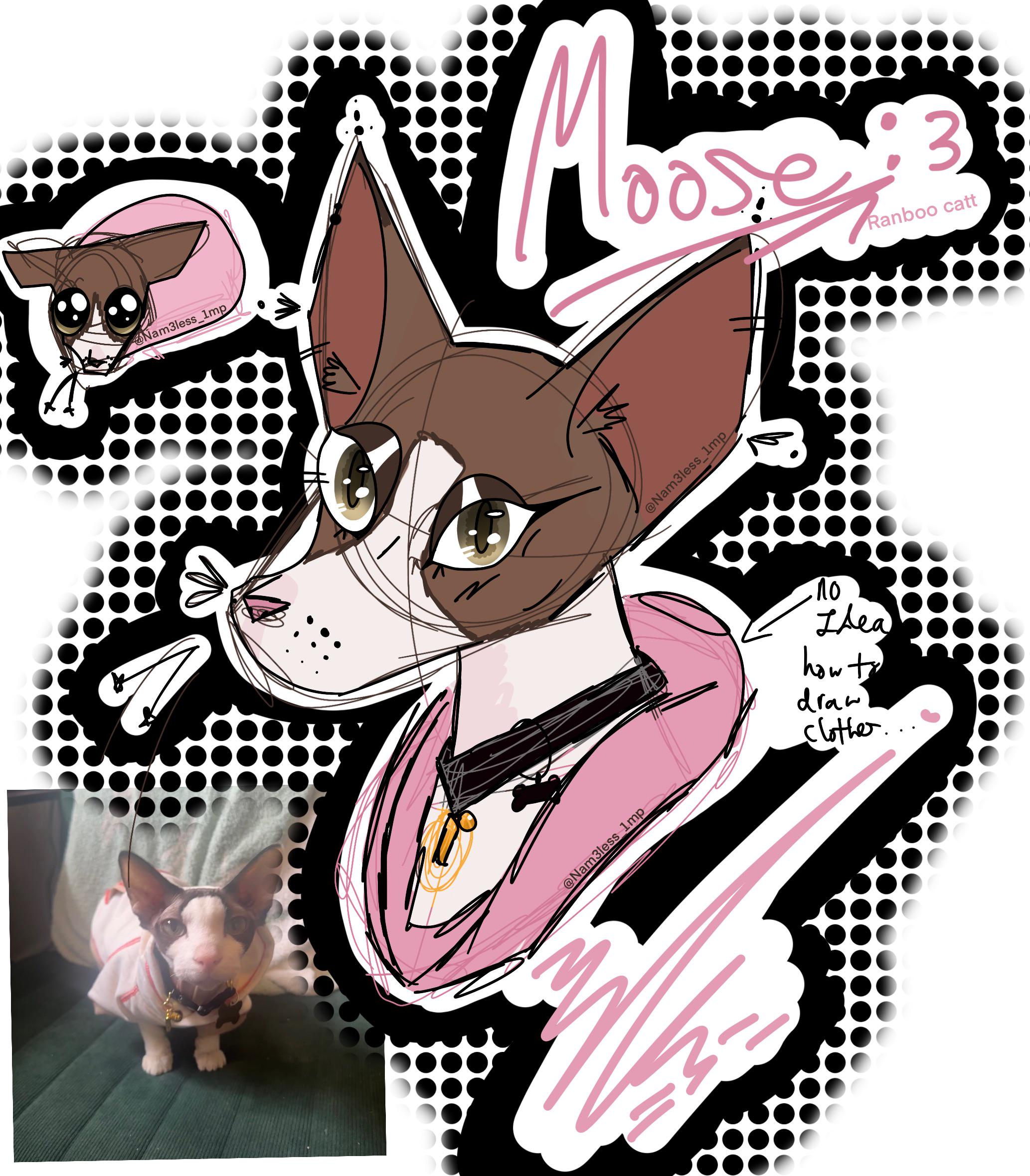 Moose art | Scrolller