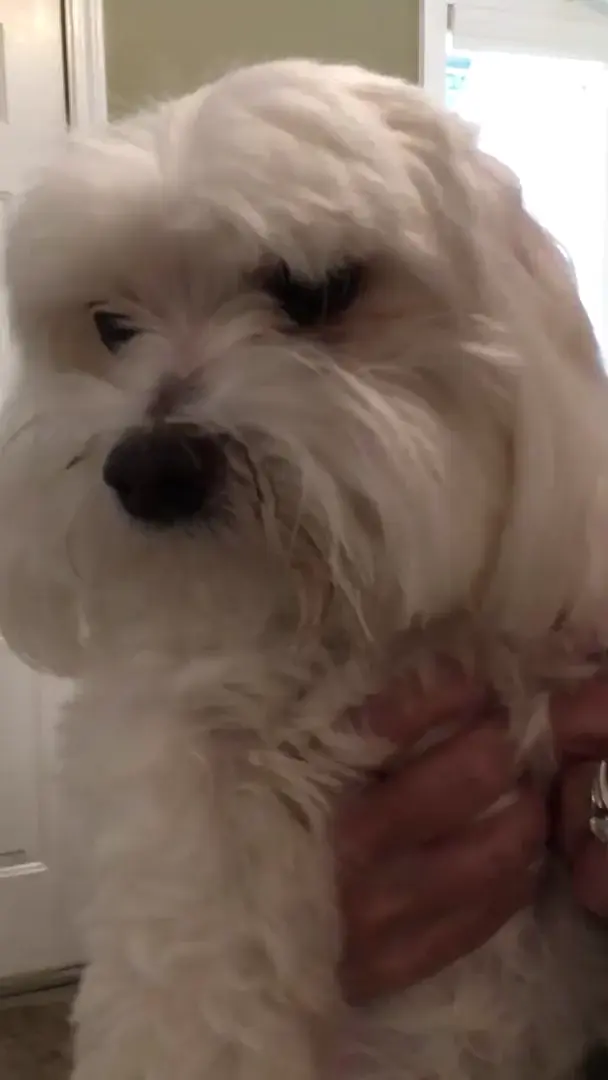 More sassy Gus | Scrolller