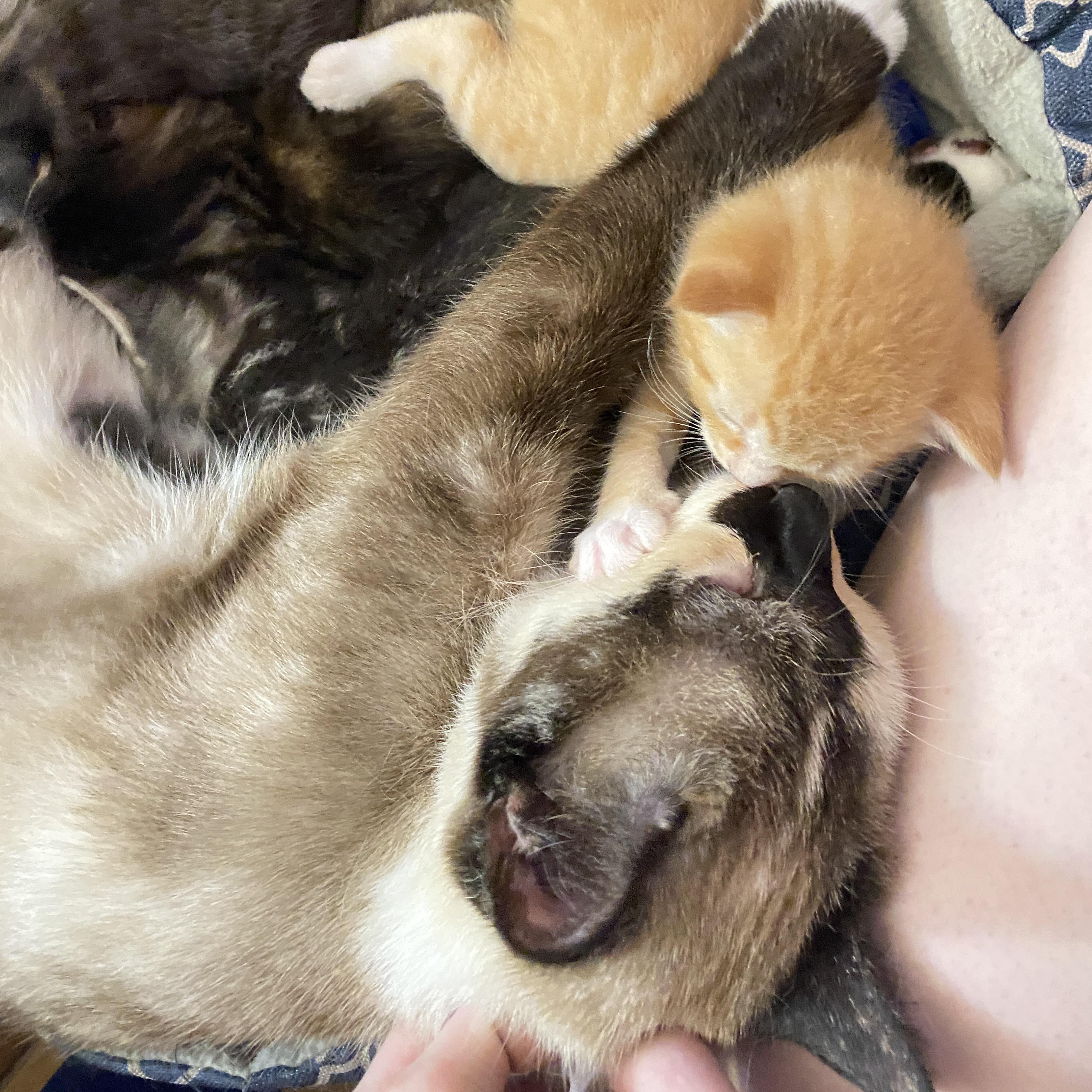 Mother & Daughter Bonding | Scrolller