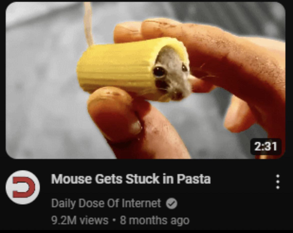 Mouse stuck in pasta | Scrolller