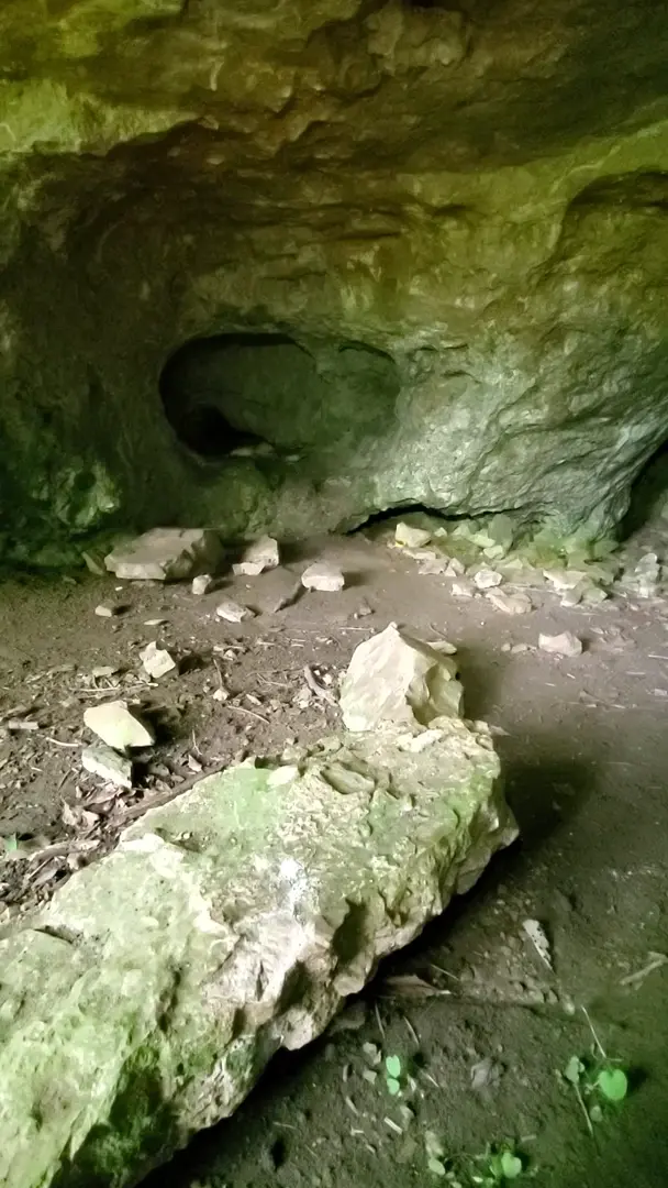 Mouth of a small cave in Southern Indiana | Scrolller