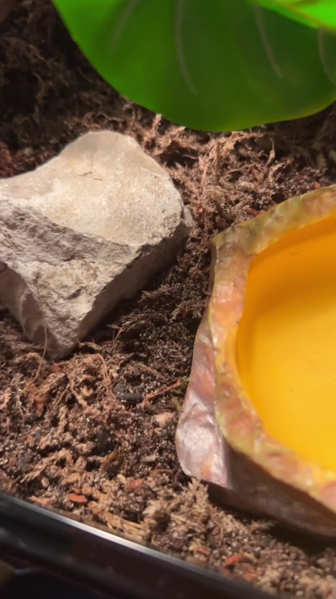 Moving day | Scrolller