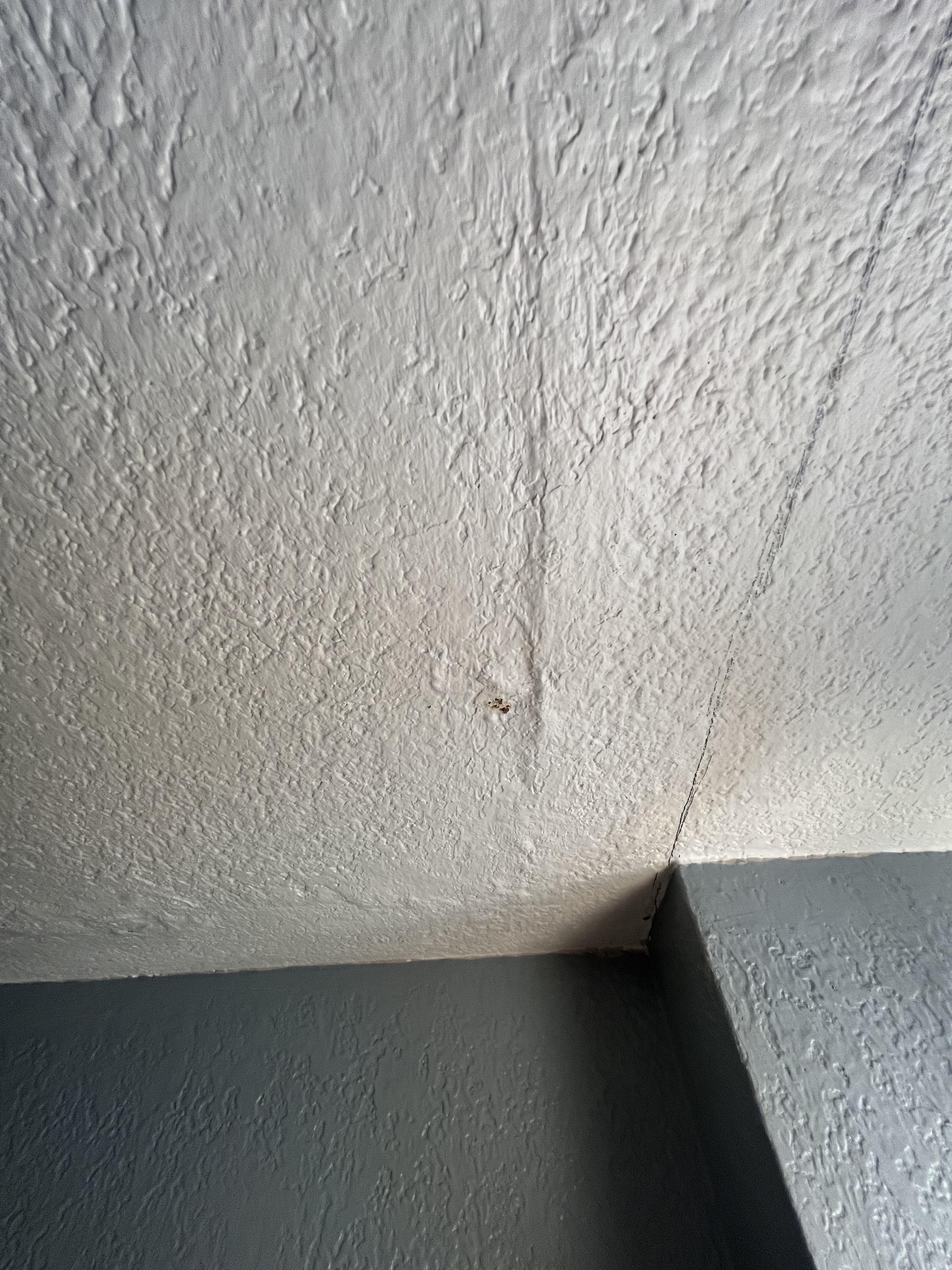 DIY or no? Leak, from somewhere… | Scrolller