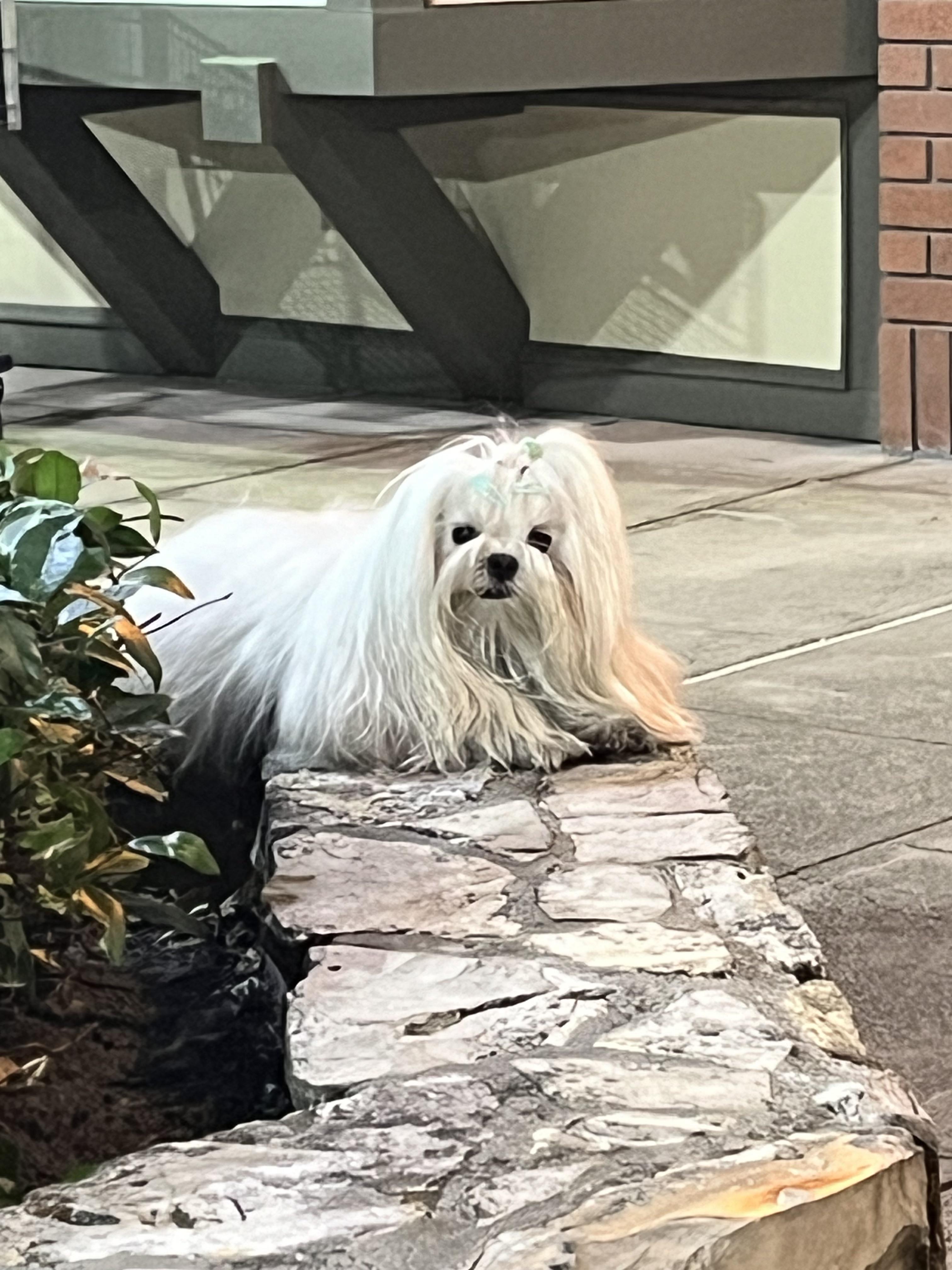 Mr Prince telling me to stay put | Scrolller