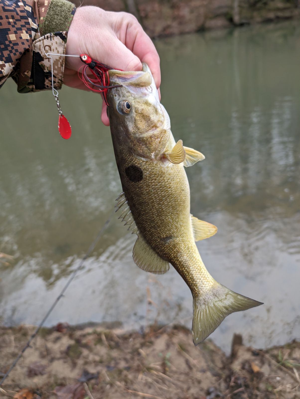 Smallmouth black spots? | Scrolller