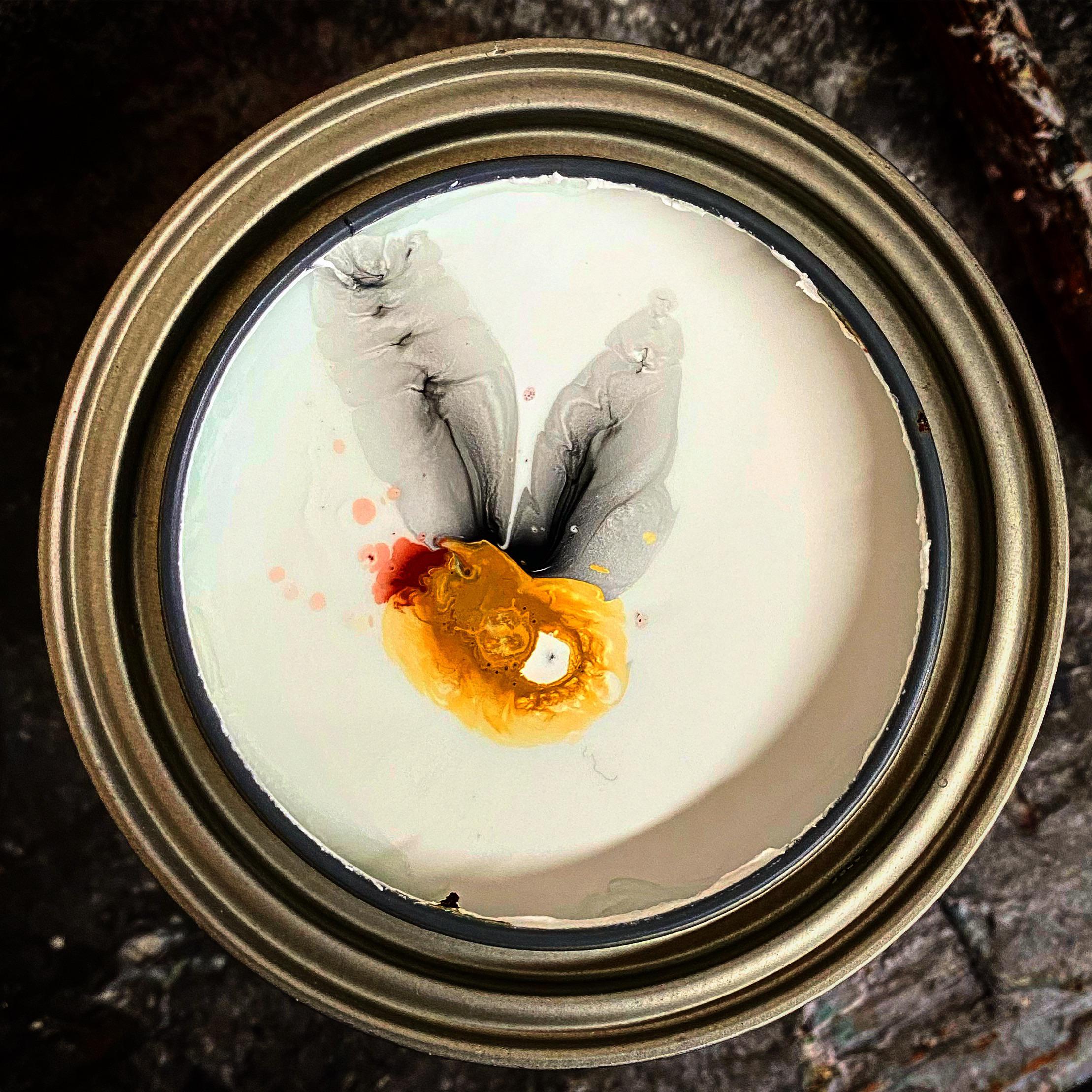 Murder Hornet 🐝 | Scrolller