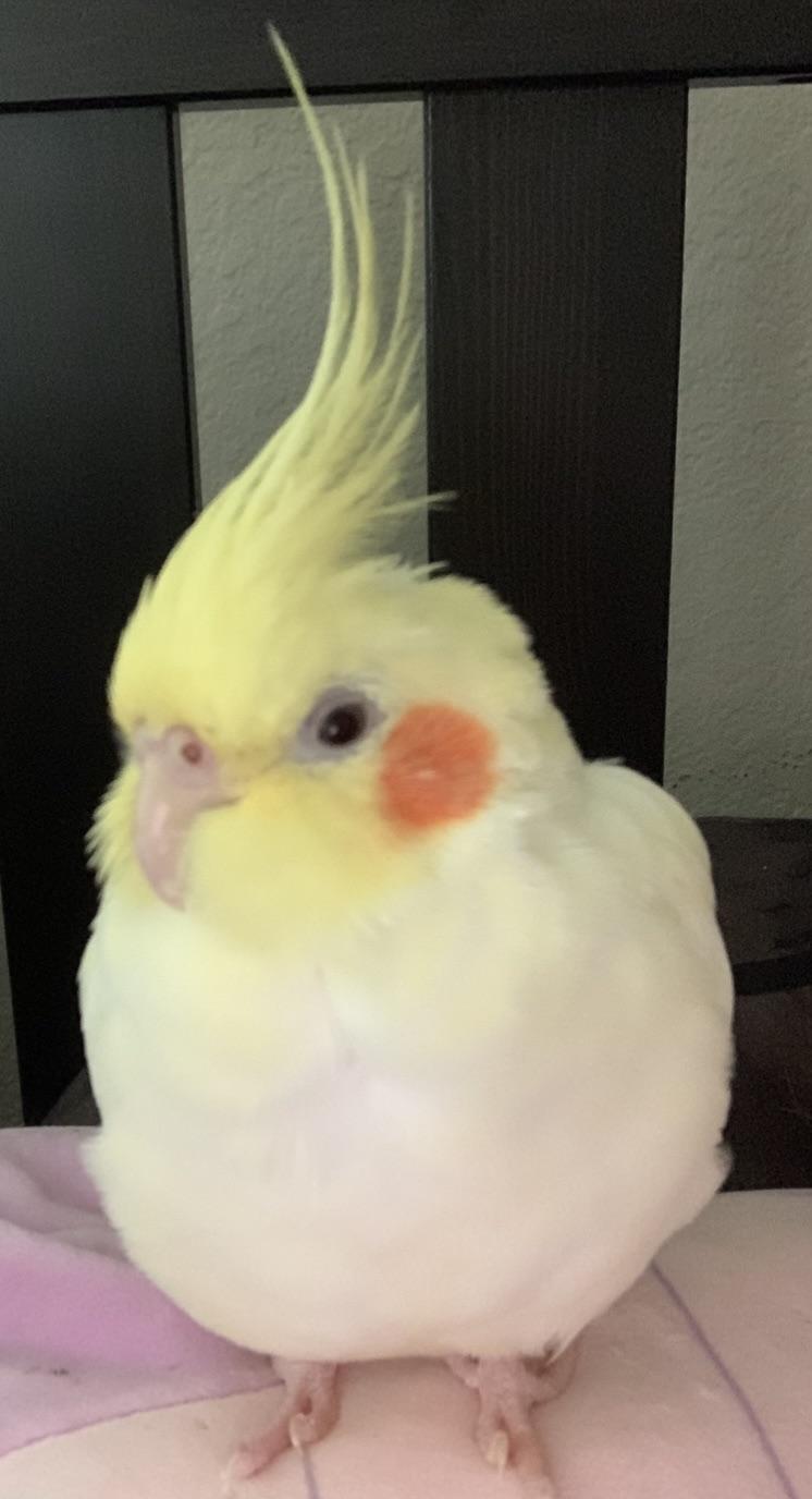 Drawing my muse | Scrolller